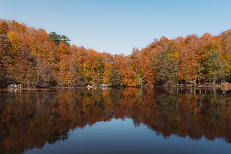 Welcome October Photos, Download The BEST Free Welcome October Stock ...