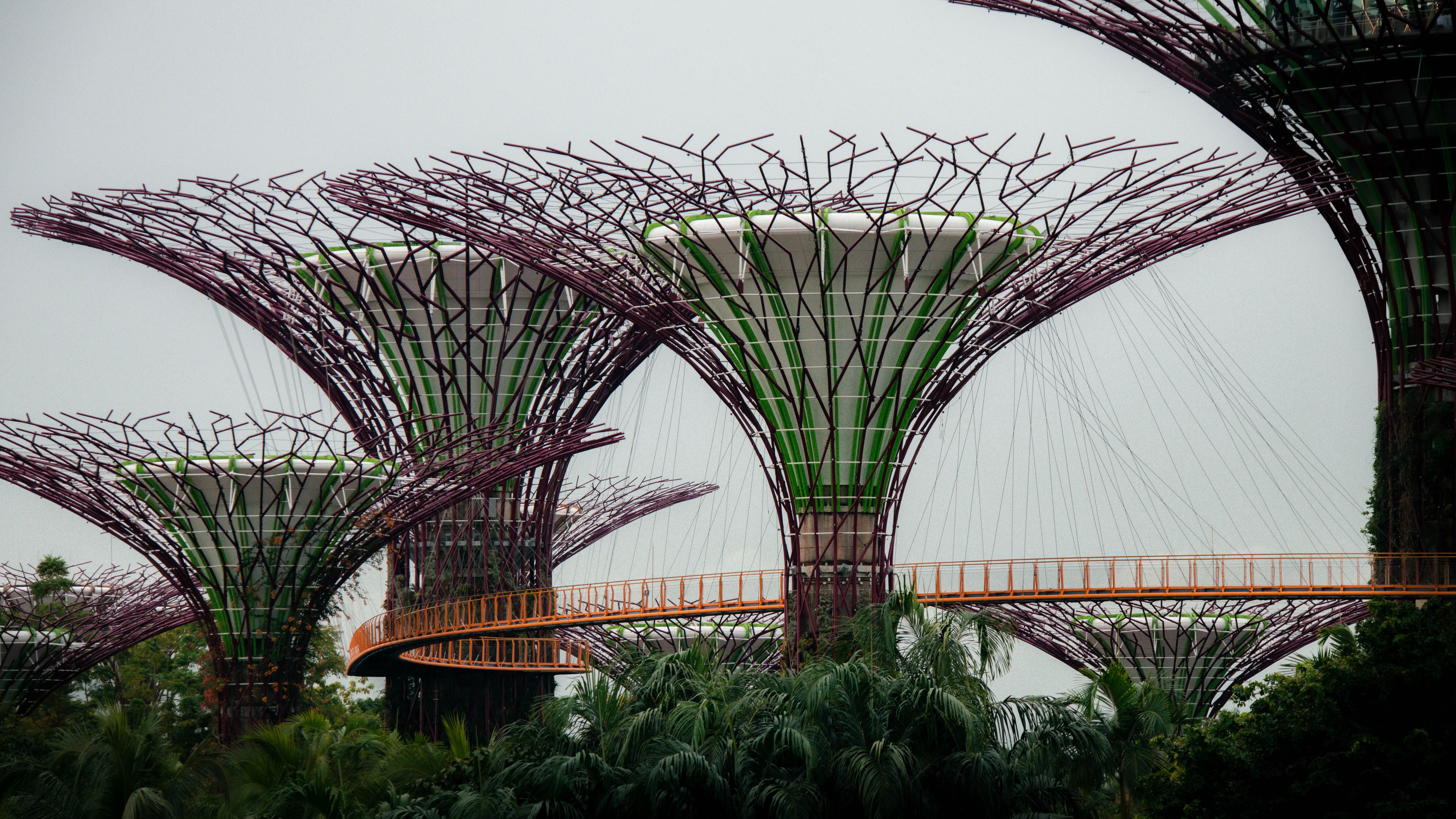 Supertree Grove at Gardens by the Bay, Singapore · Free Stock Photo