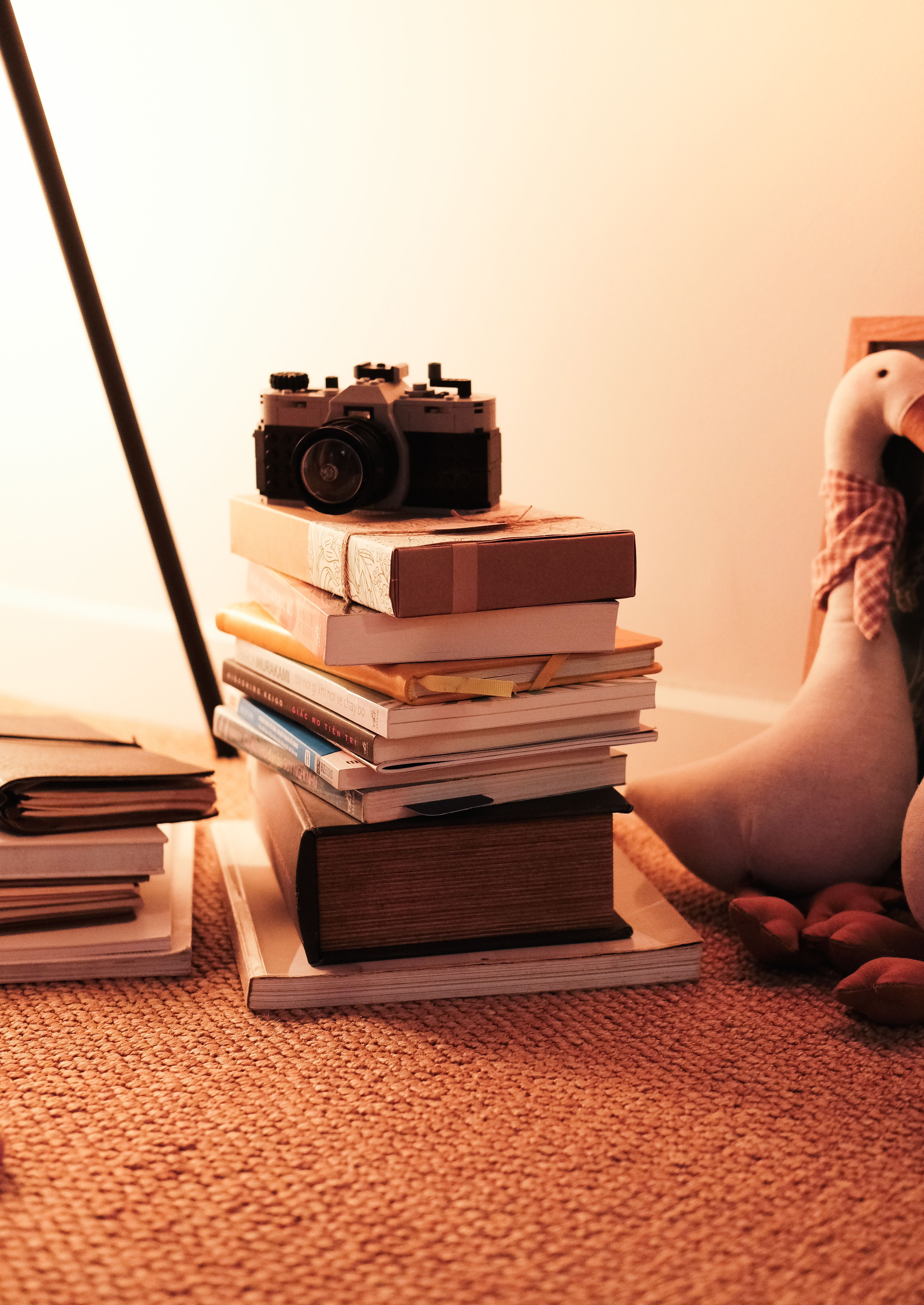 Cozy Still Life with Books and Vintage Camera · Free Stock Photo