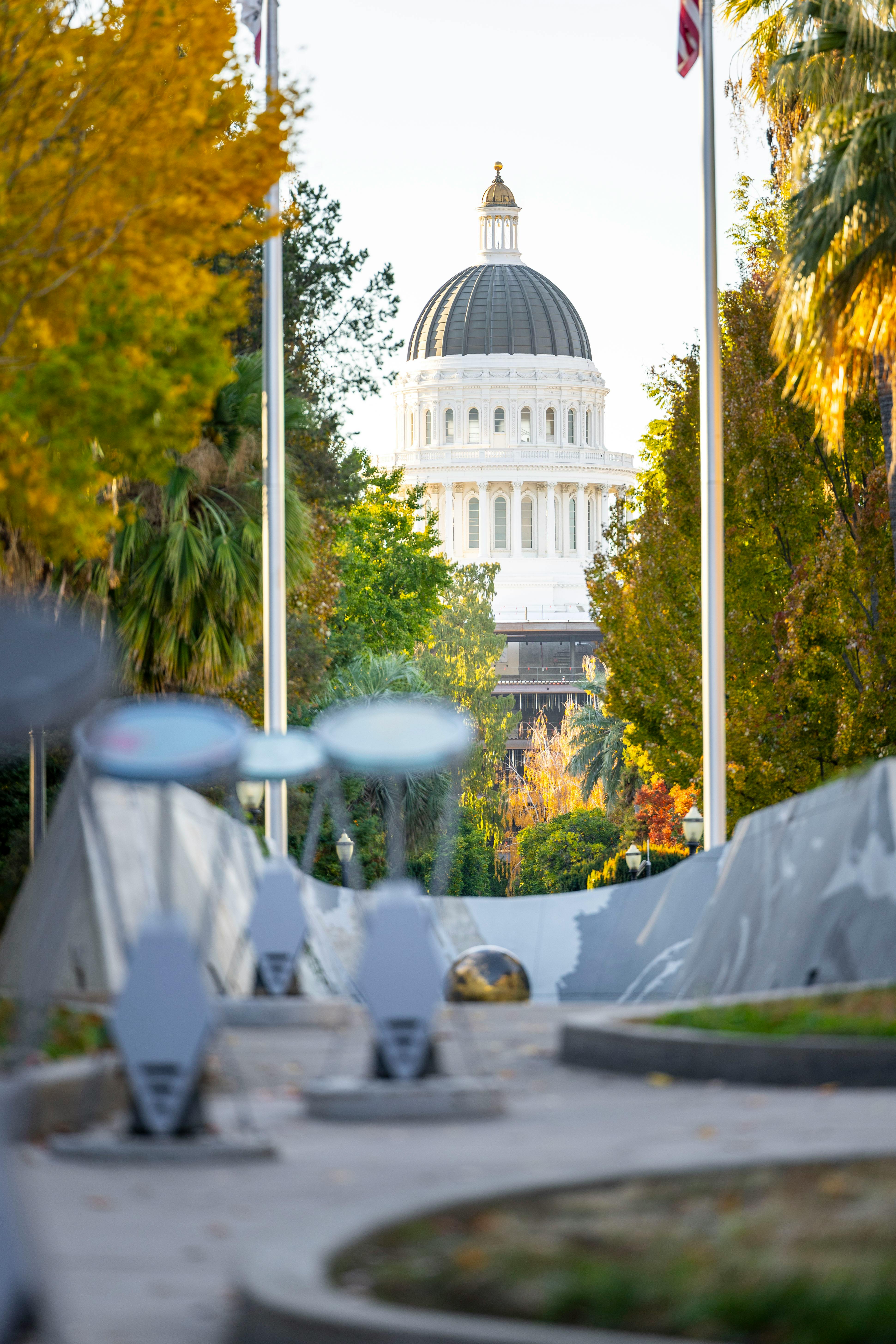 Green Garden of California State Capitol Building · Free Stock Photo