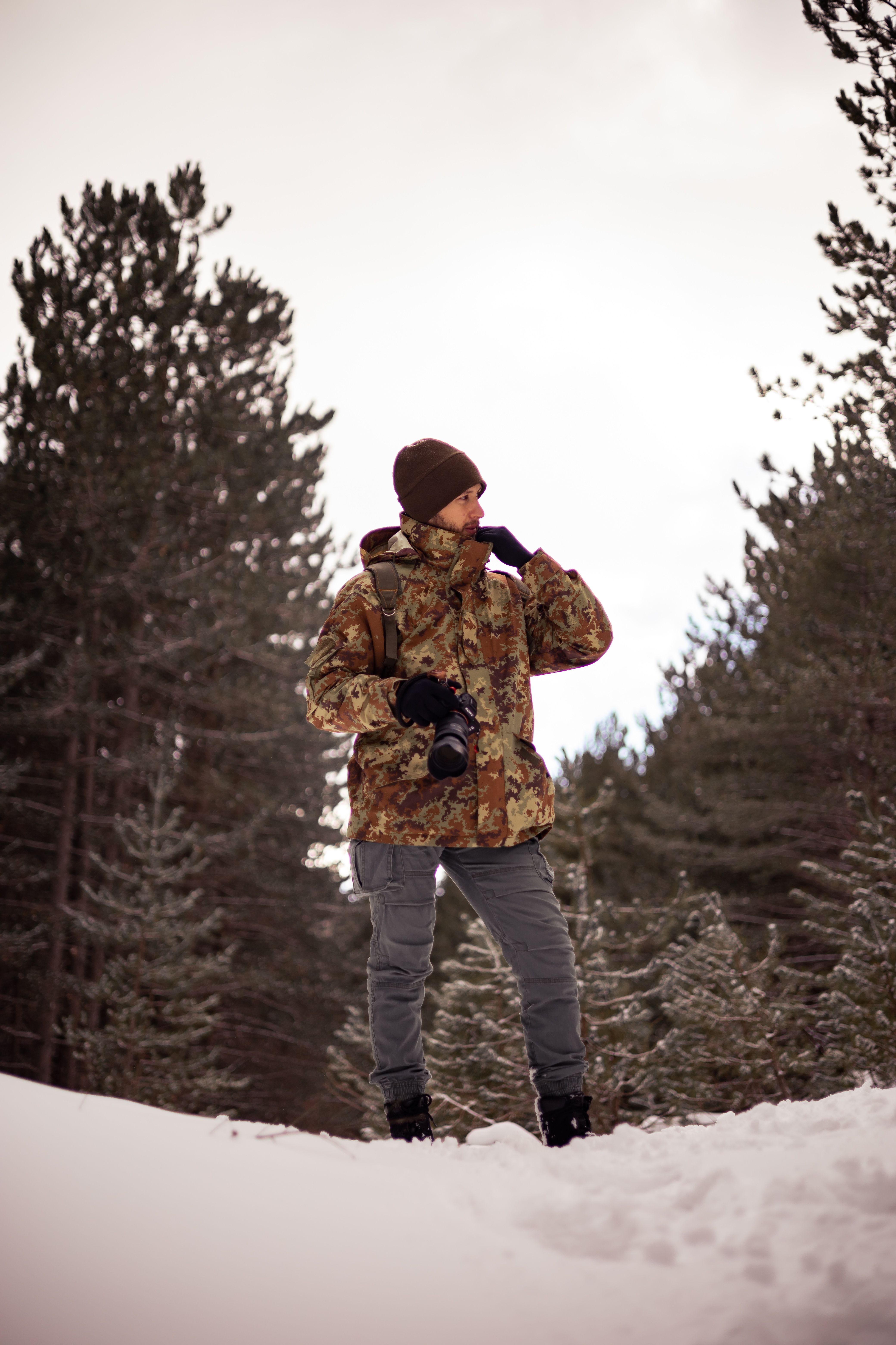Snow Laden Trees Photos, Download The BEST Free Snow Laden Trees Stock ...