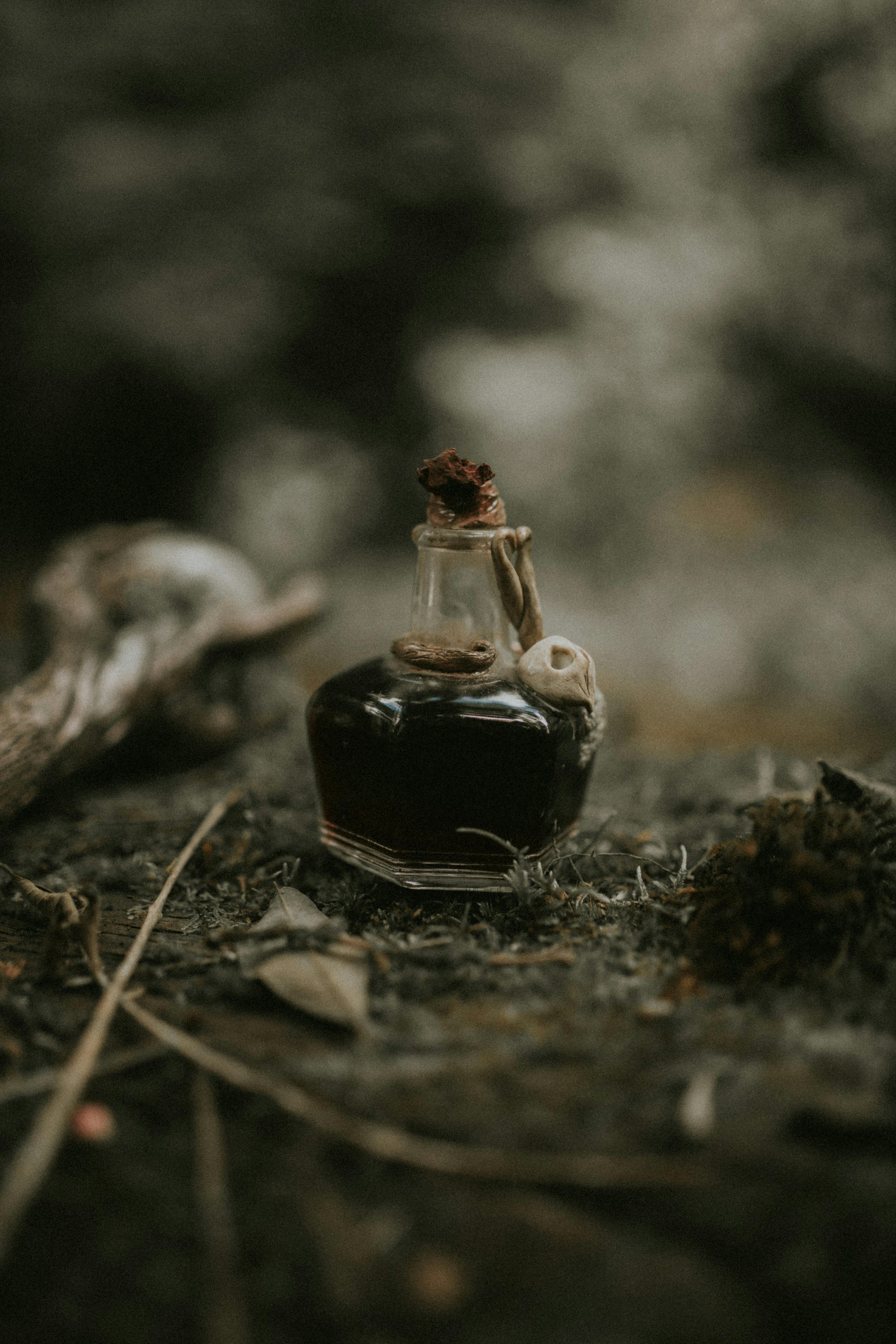 Mysterious Potion Bottle in Enchanted Forest · Free Stock Photo