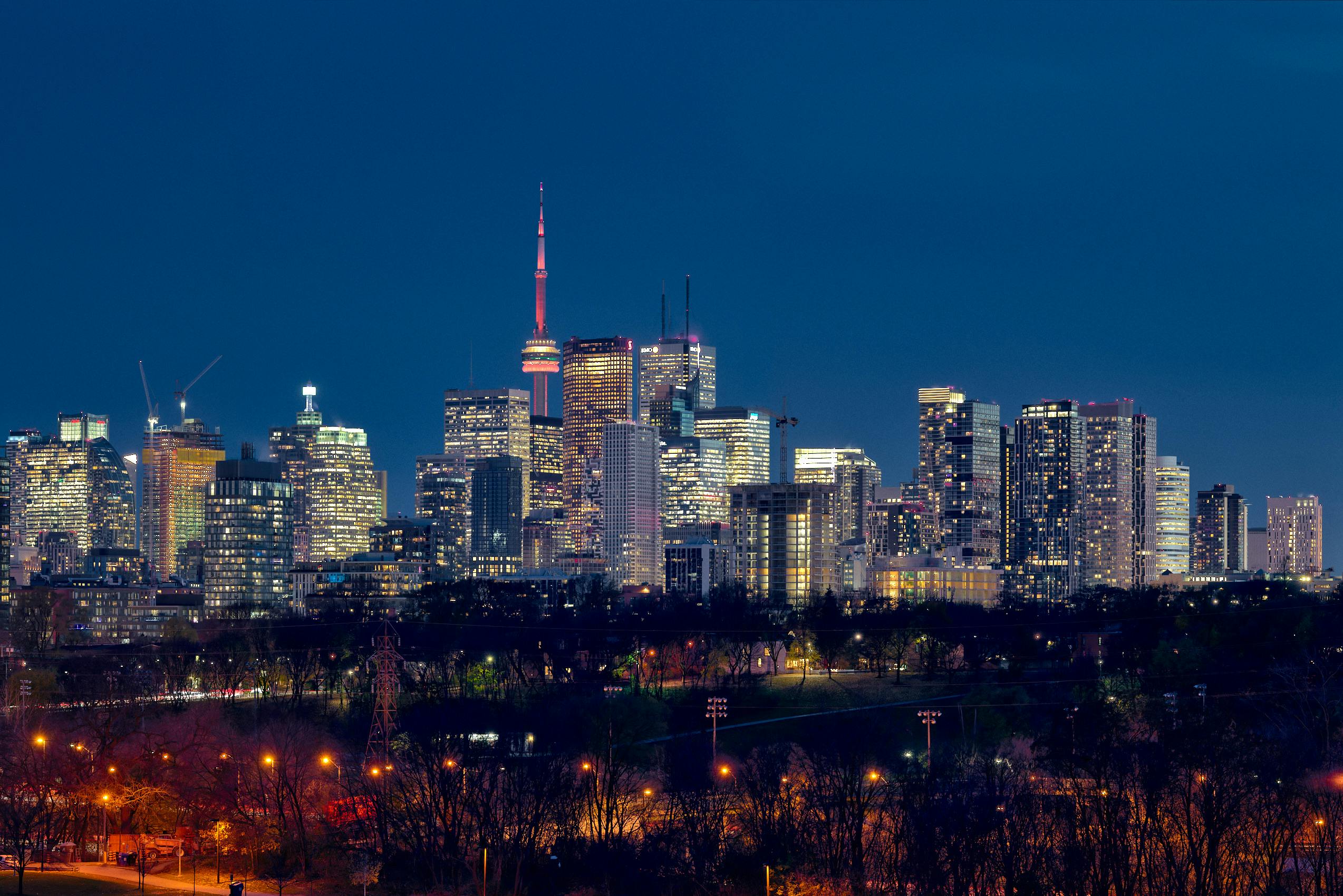 Toronto Skyline at Night with CN Tower · Free Stock Photo