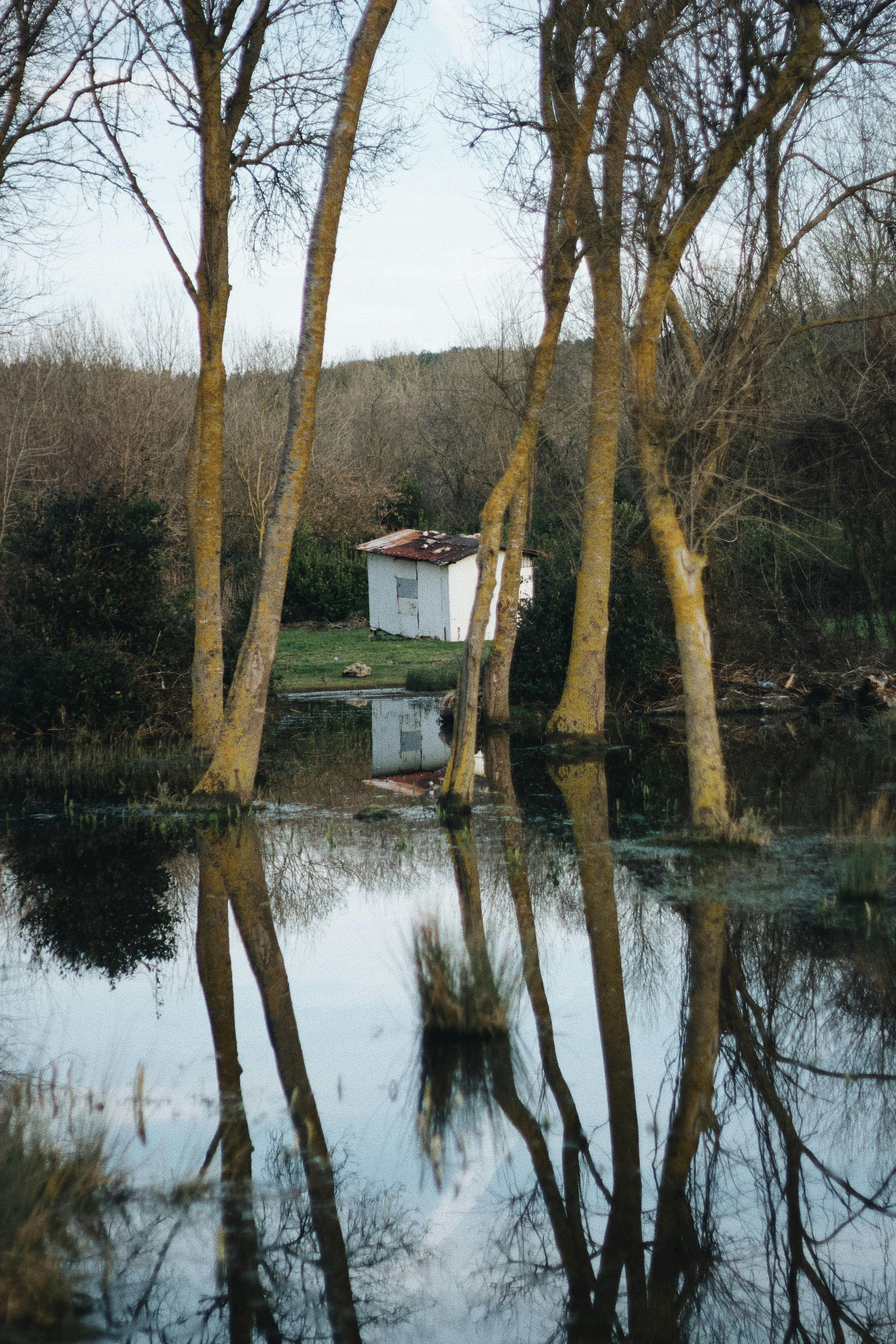 Isolated Shelter Photos, Download The BEST Free Isolated Shelter Stock ...