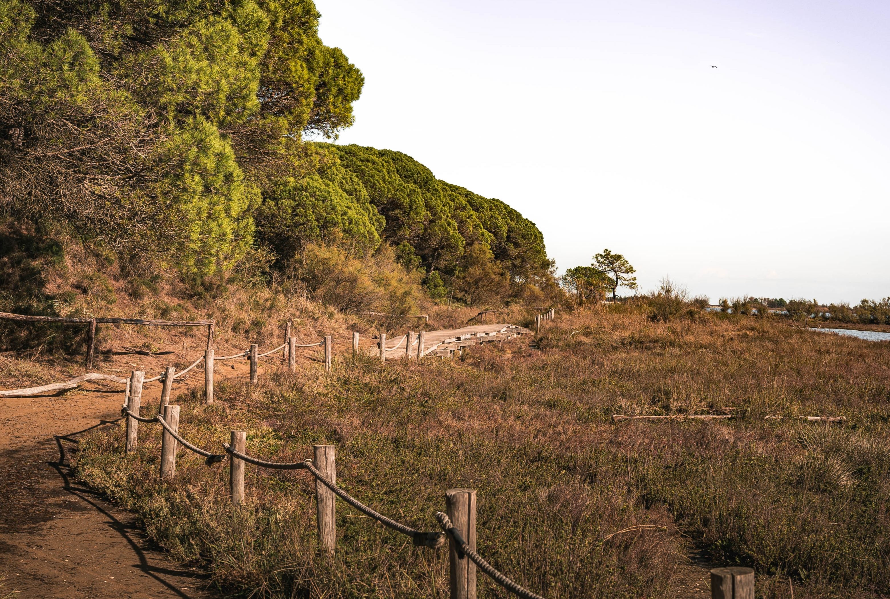 Scenic Nature Trail with Rustic Fence in Autumn · Free Stock Photo