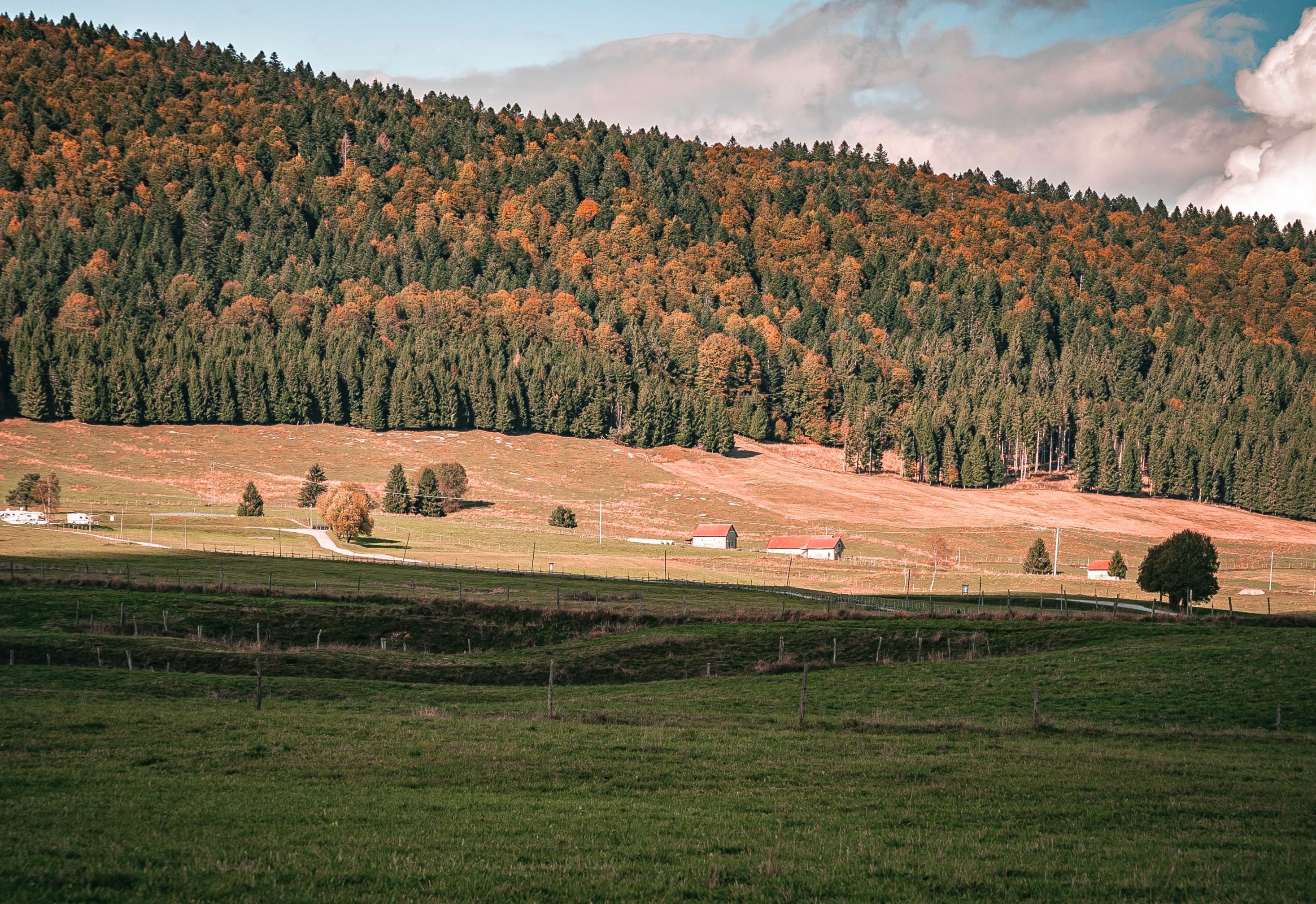 Scenic Fall Landscape with Forest and Fields · Free Stock Photo