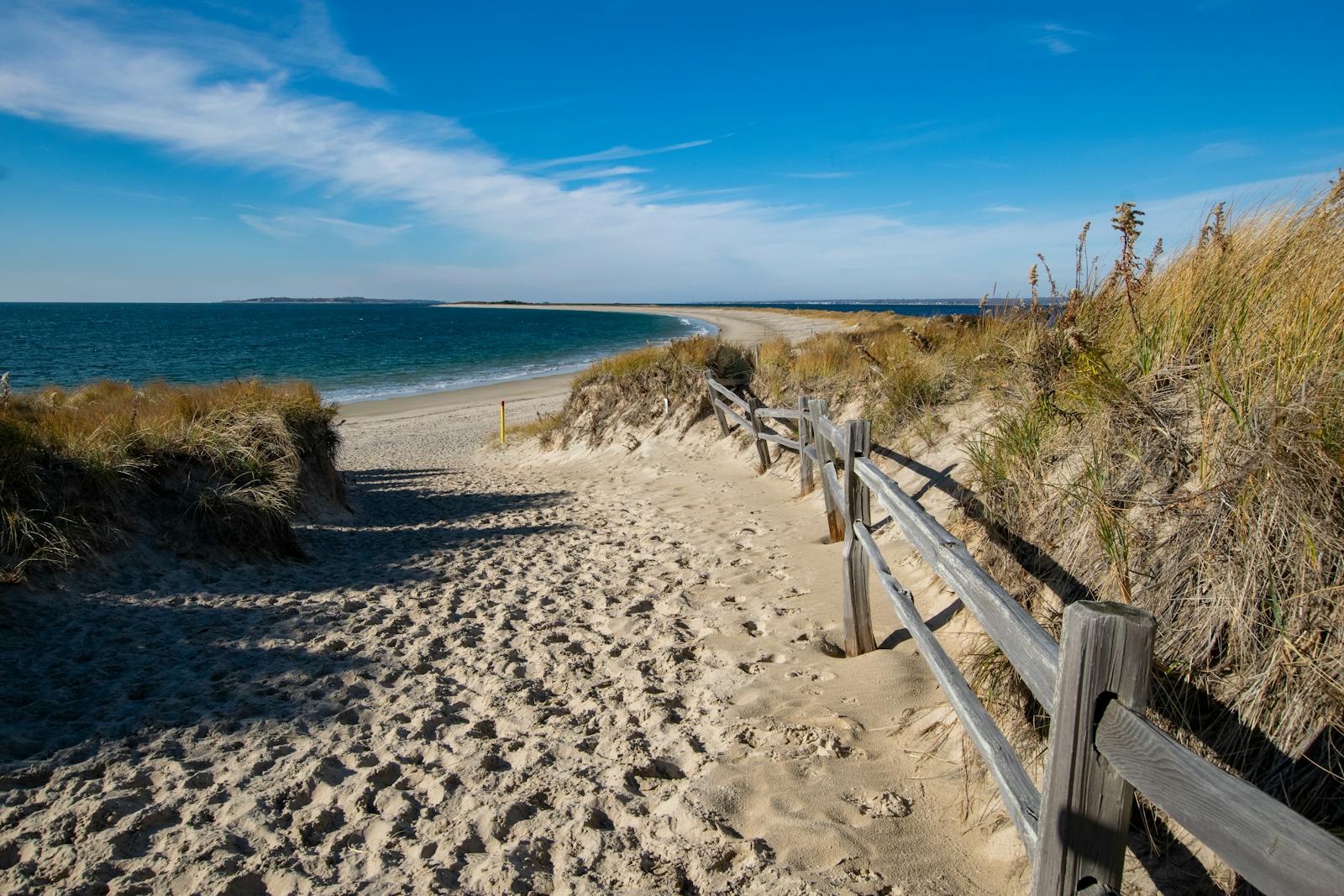 Beach Grass Photos, Download The BEST Free Beach Grass Stock Photos ...