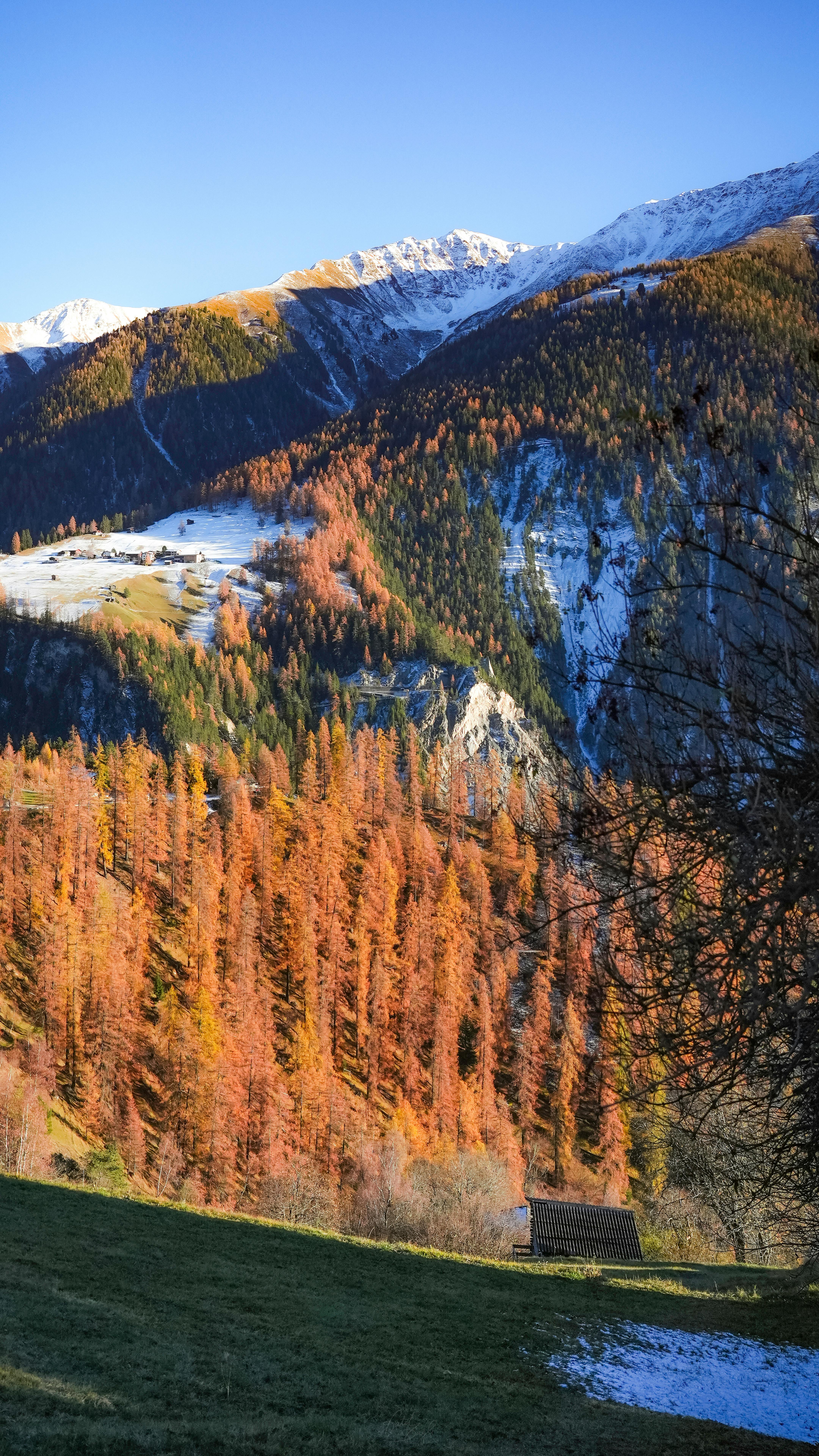 Stunning Autumn Mountainside Landscape View · Free Stock Photo