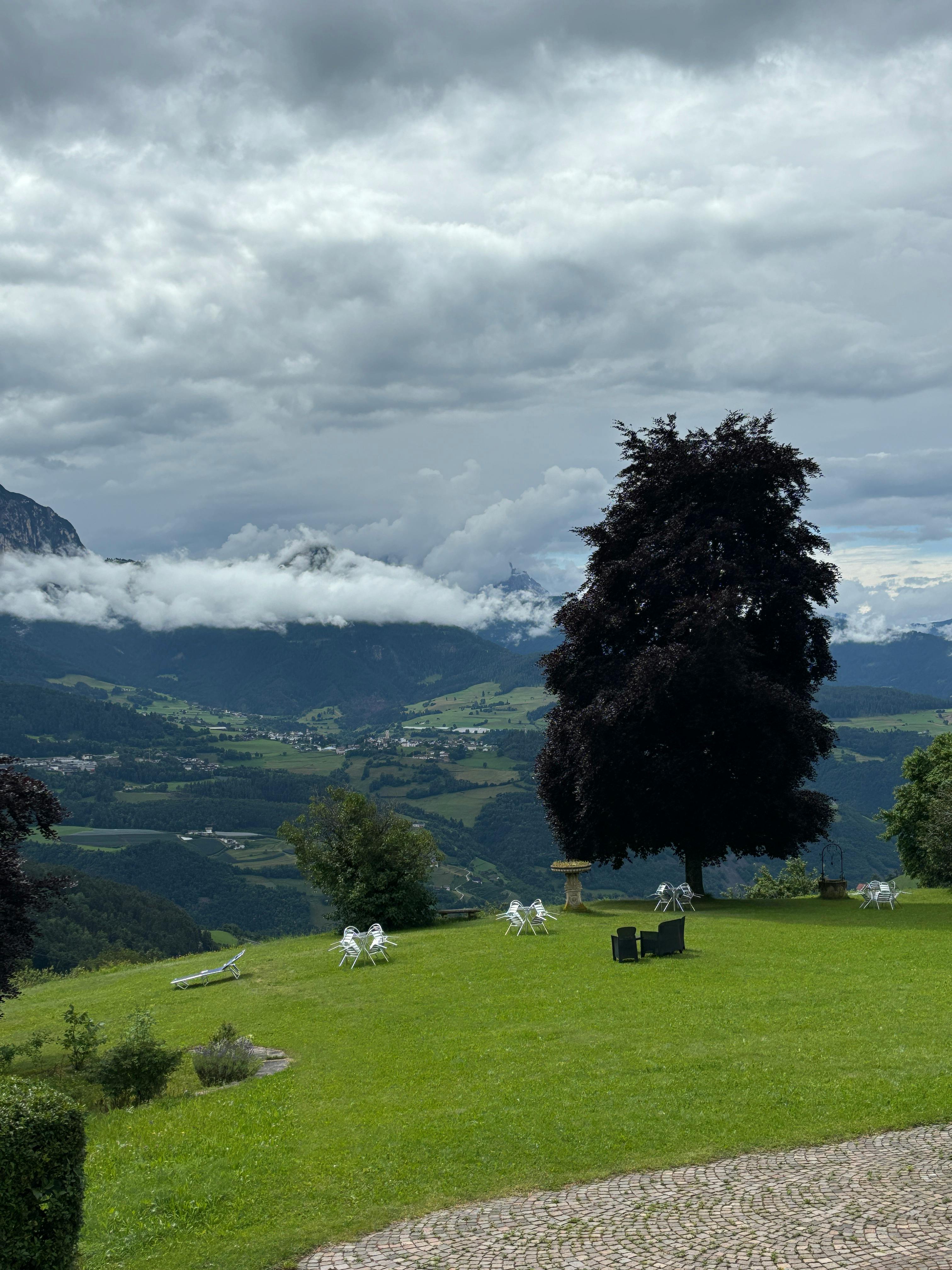 Arbustos Altos Photos, Download The BEST Free Arbustos Altos Stock ...