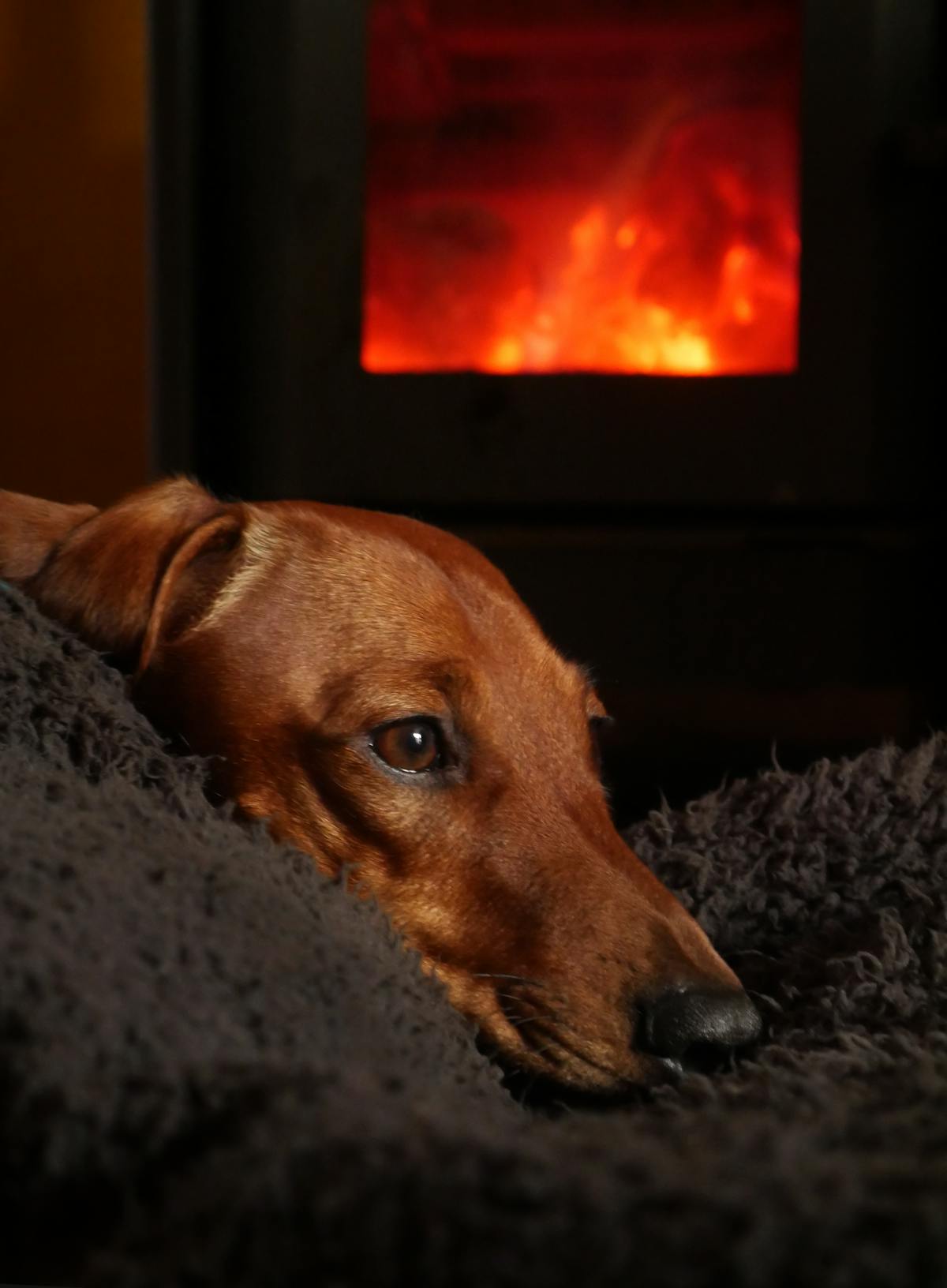 Home Cozy Photos, Download The BEST Free Home Cozy Stock Photos & HD Images