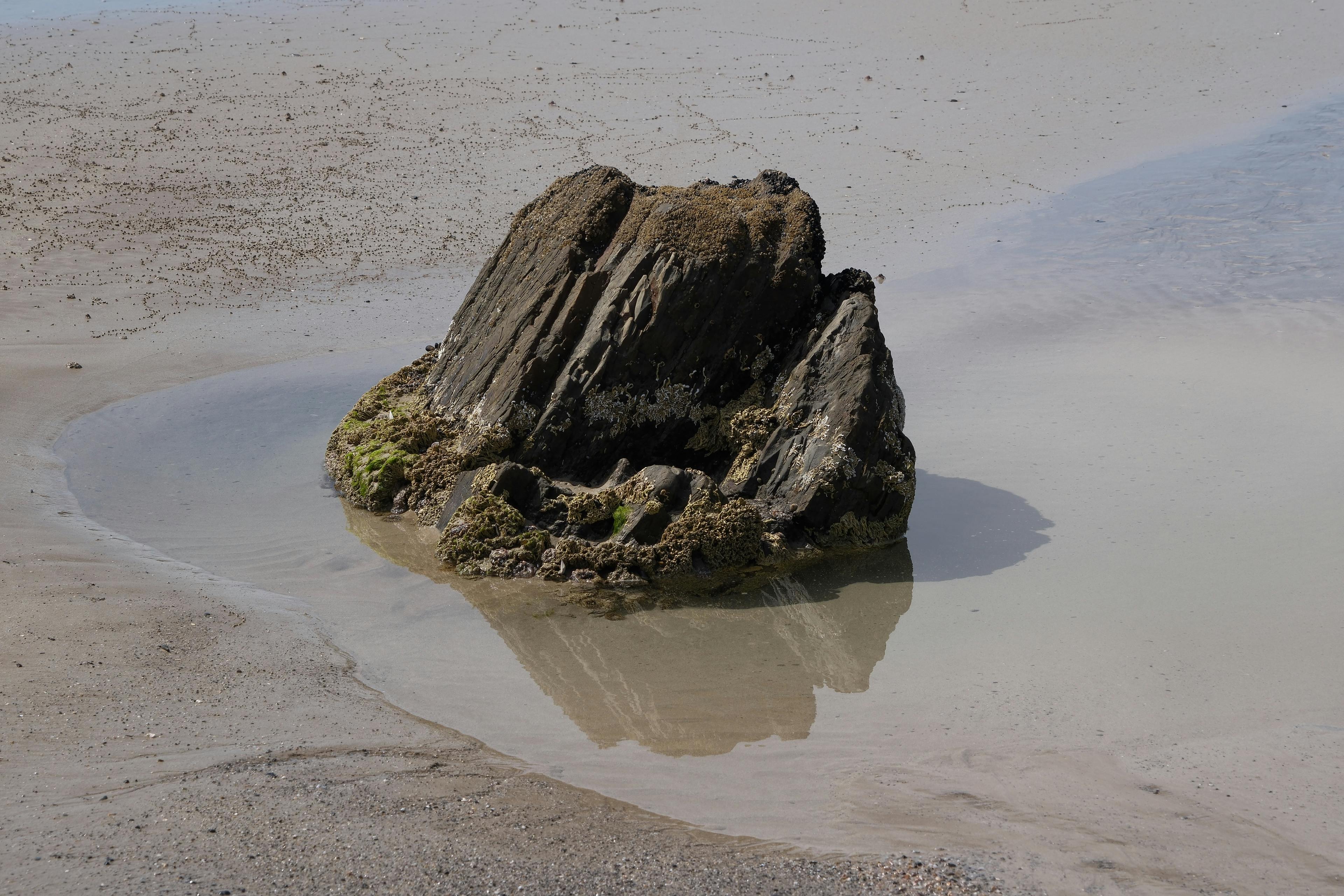 Isolated Rock Formation in Tidal Pool on Beach · Free Stock Photo
