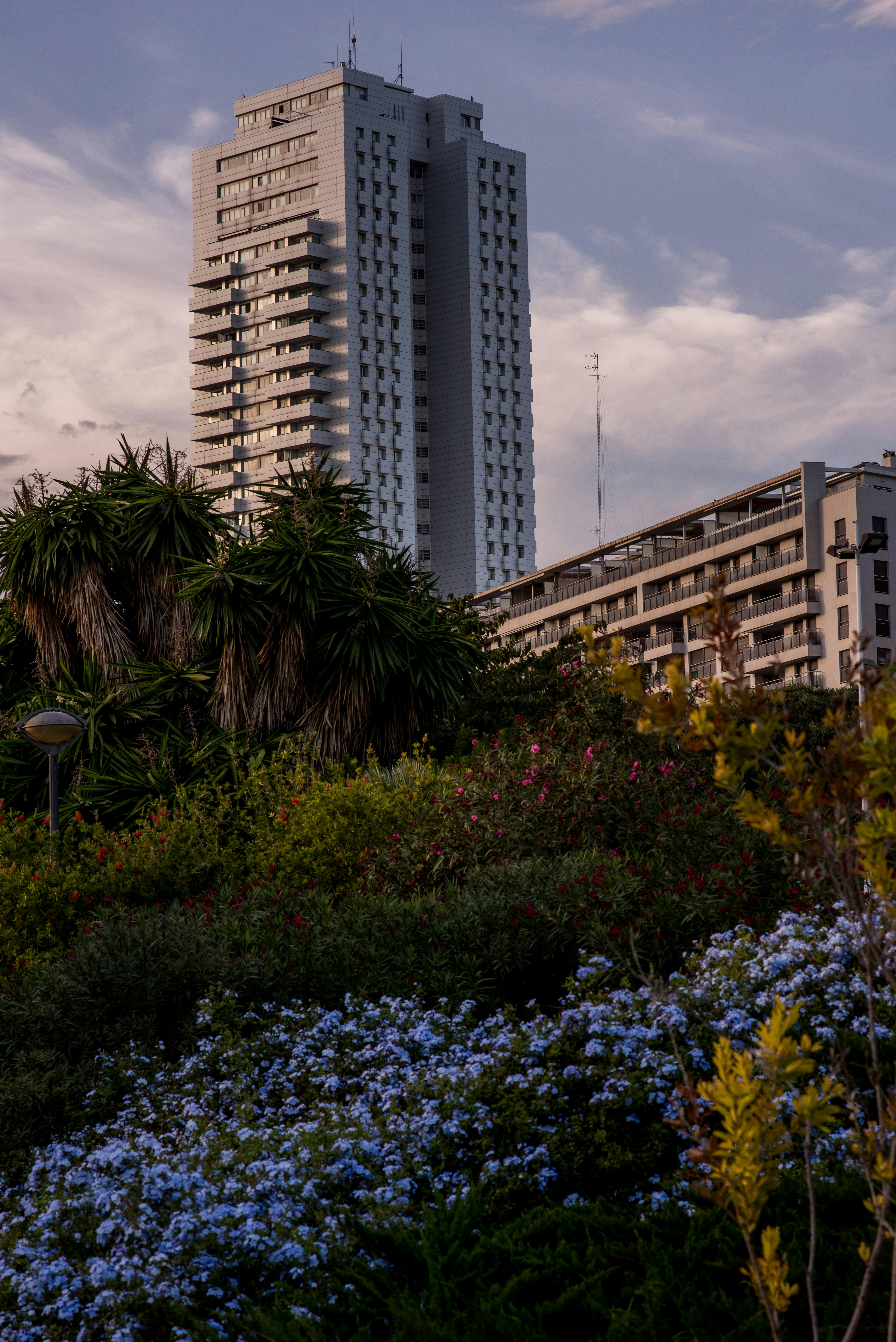 Cityscape with Modern High-Rise and Lush Gardens · Free Stock Photo