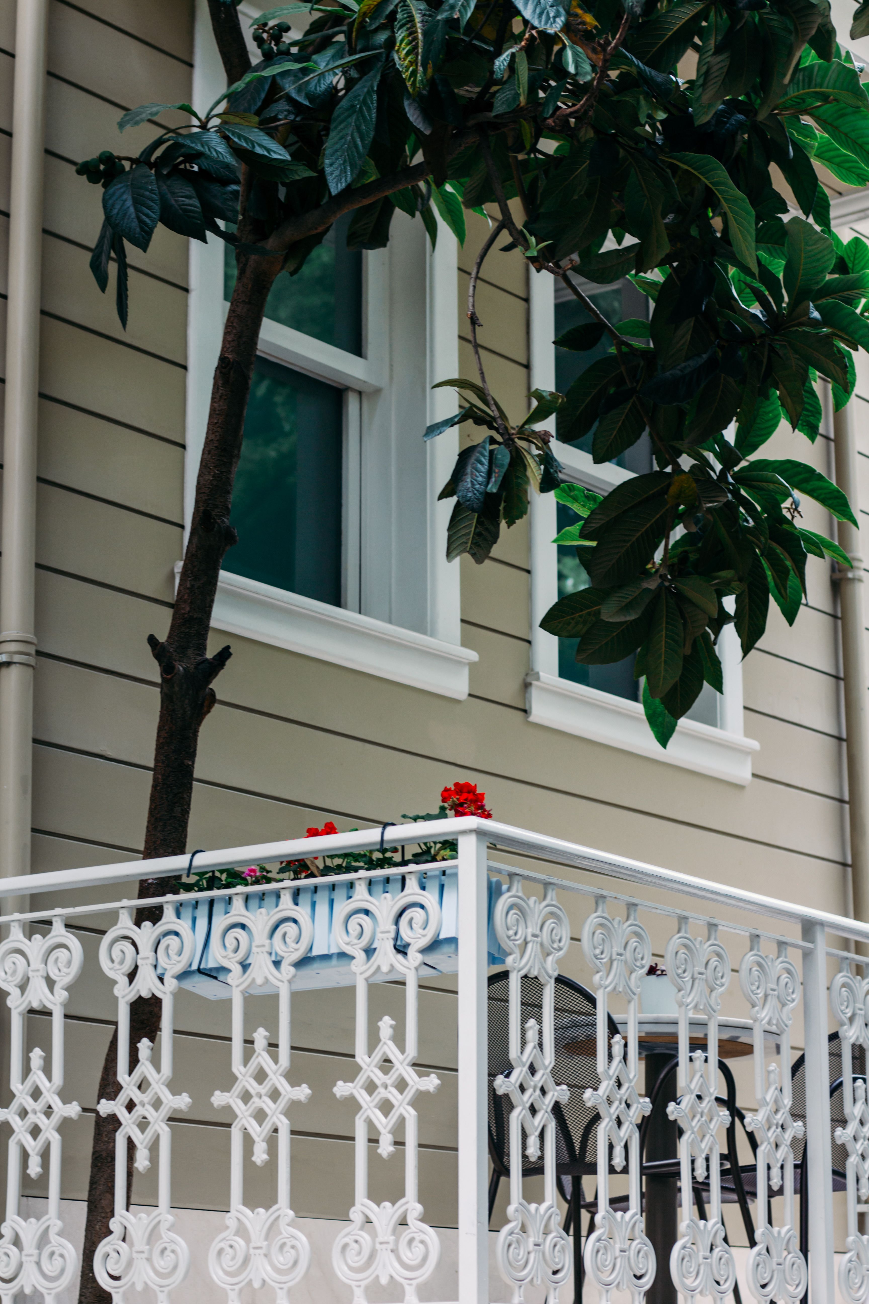 Charming Balcony with Ornate White Ironwork and Tree · Free Stock Photo