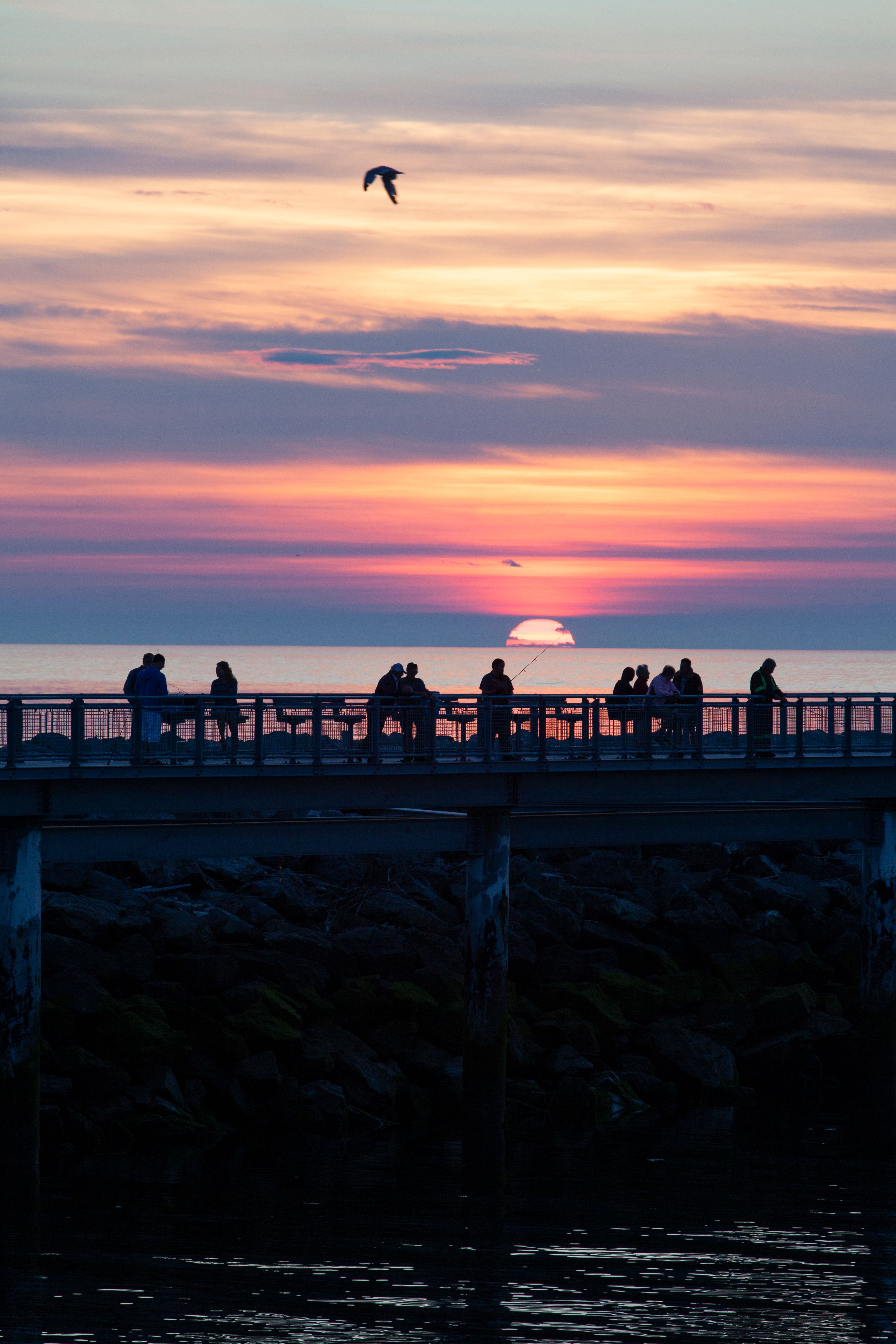 Scenic Sunset over Matane Pier, Québec · Free Stock Photo