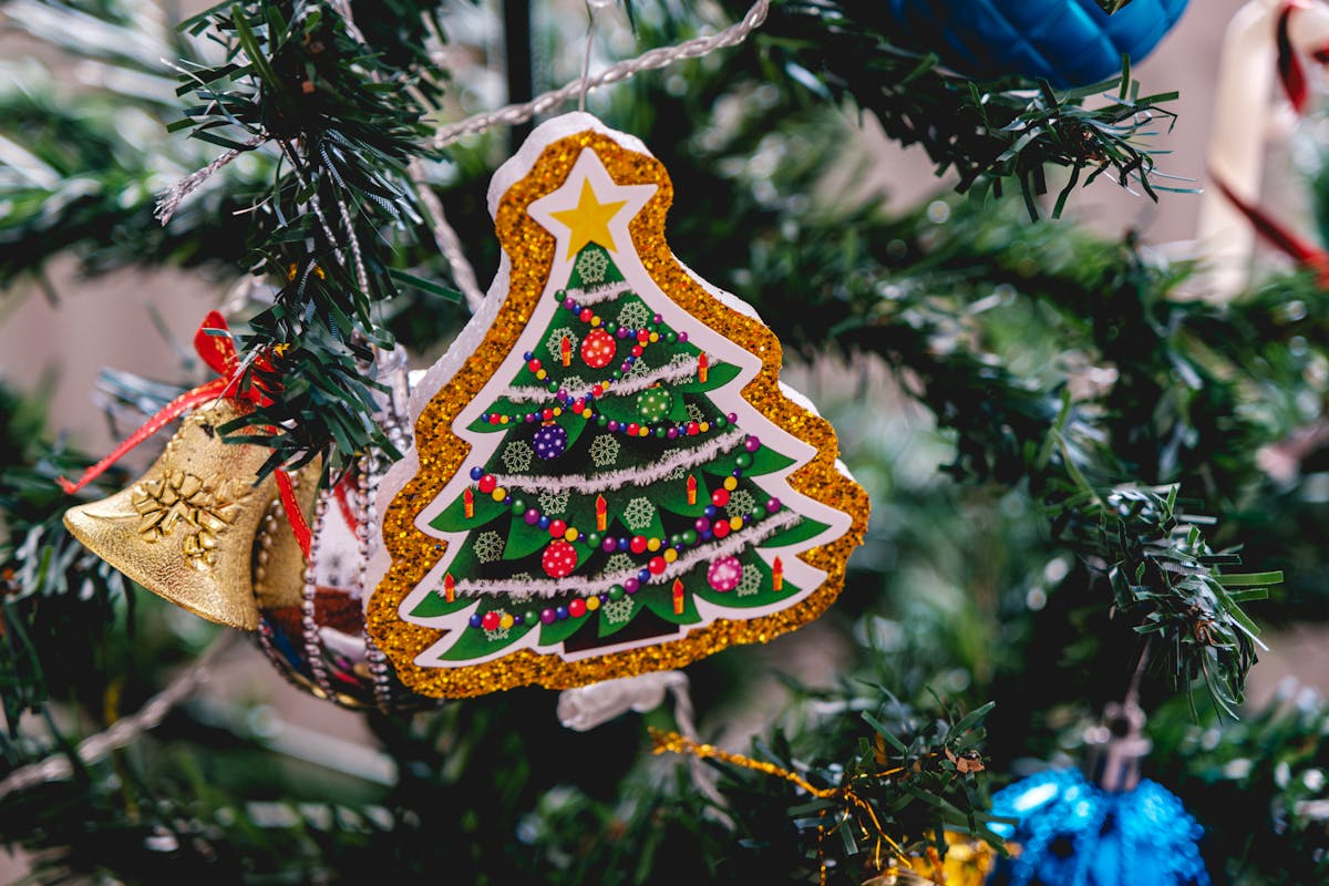 Festive Season Photos, Download The BEST Free Festive Season Stock ...