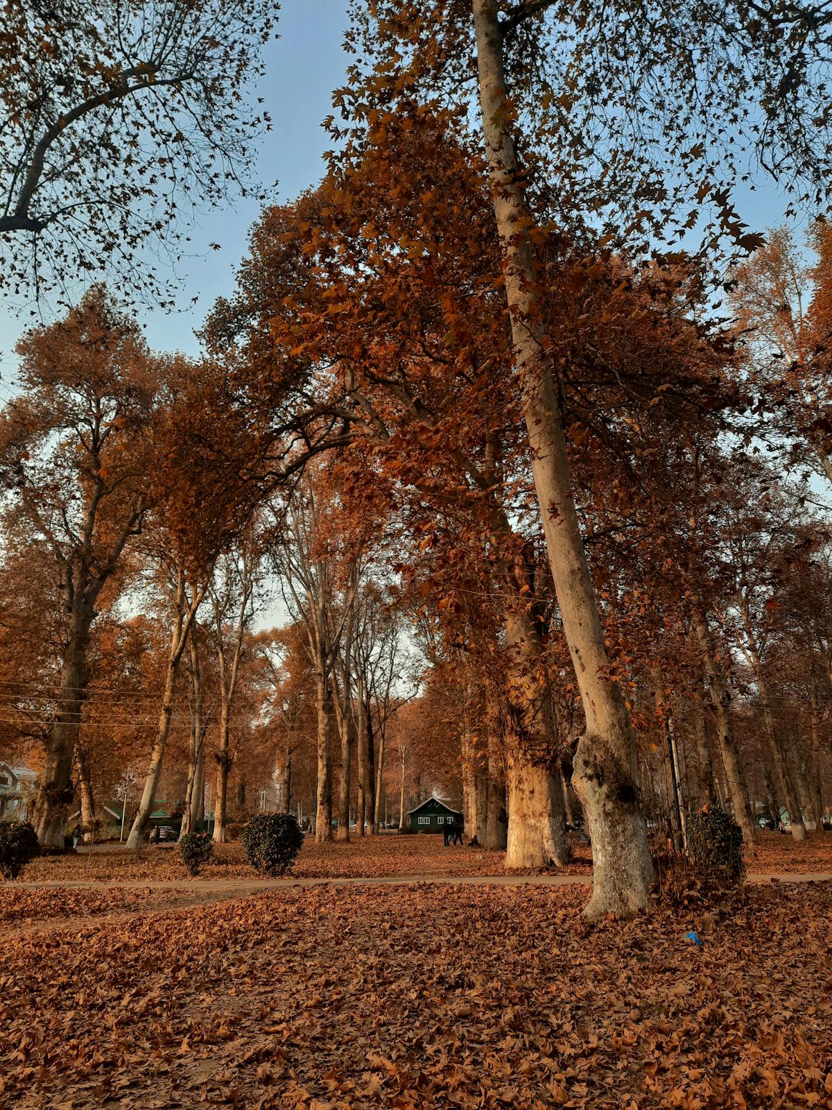 Welcome October Photos, Download The BEST Free Welcome October Stock ...