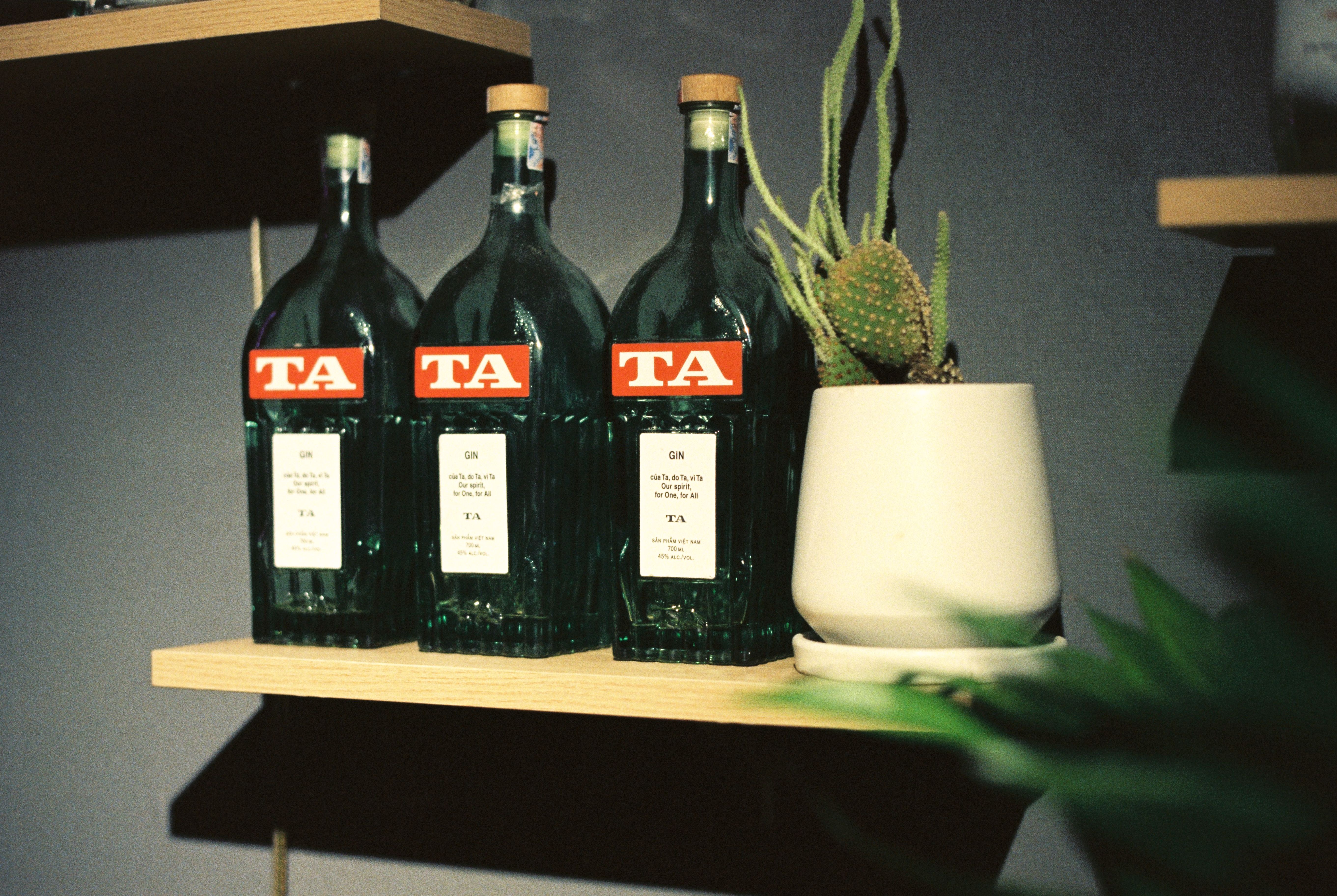 Bottles of Gin on Wooden Shelf with Cactus · Free Stock Photo