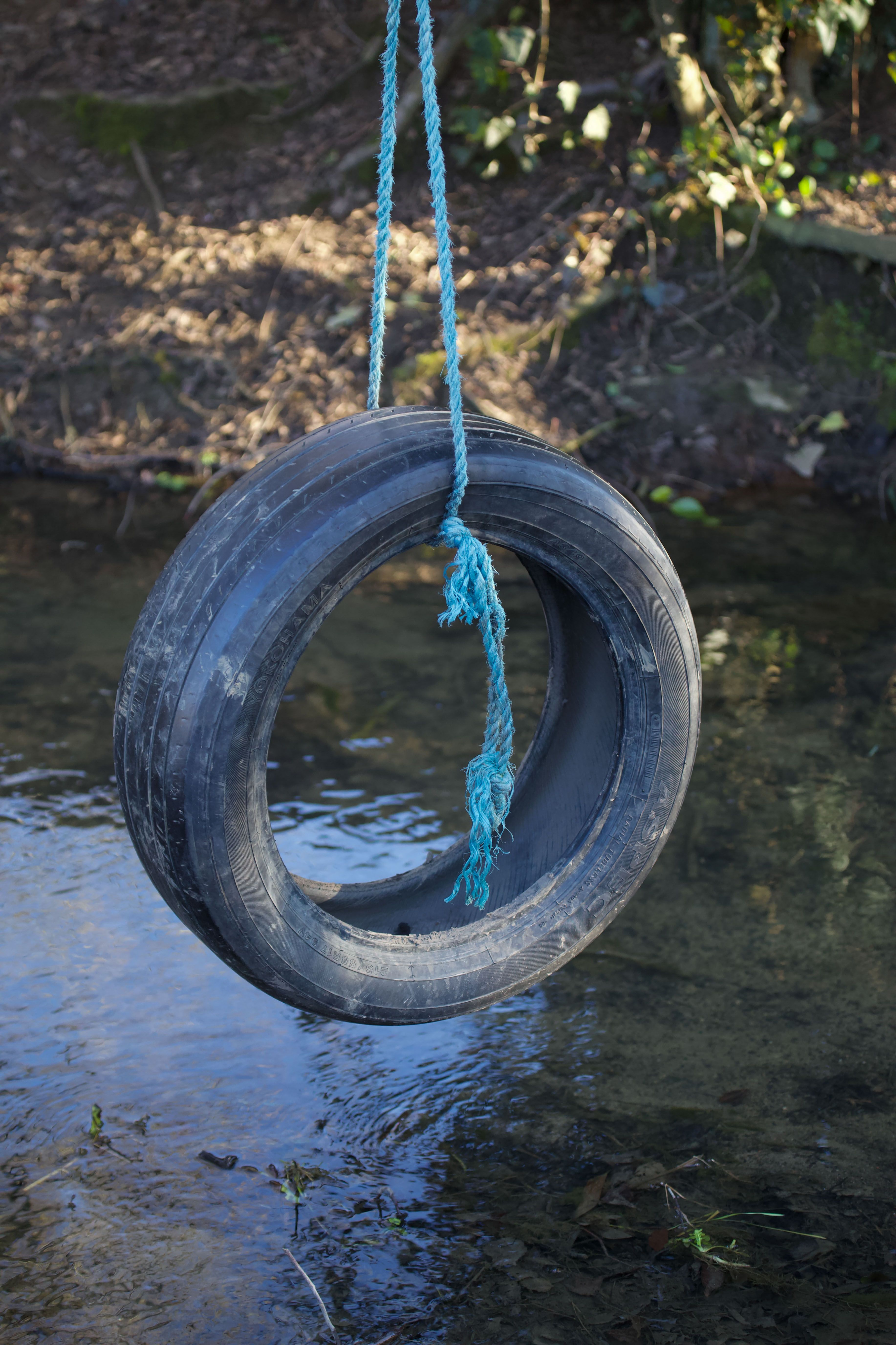 Old Tire Swing Over Tranquil Stream in Forest · Free Stock Photo