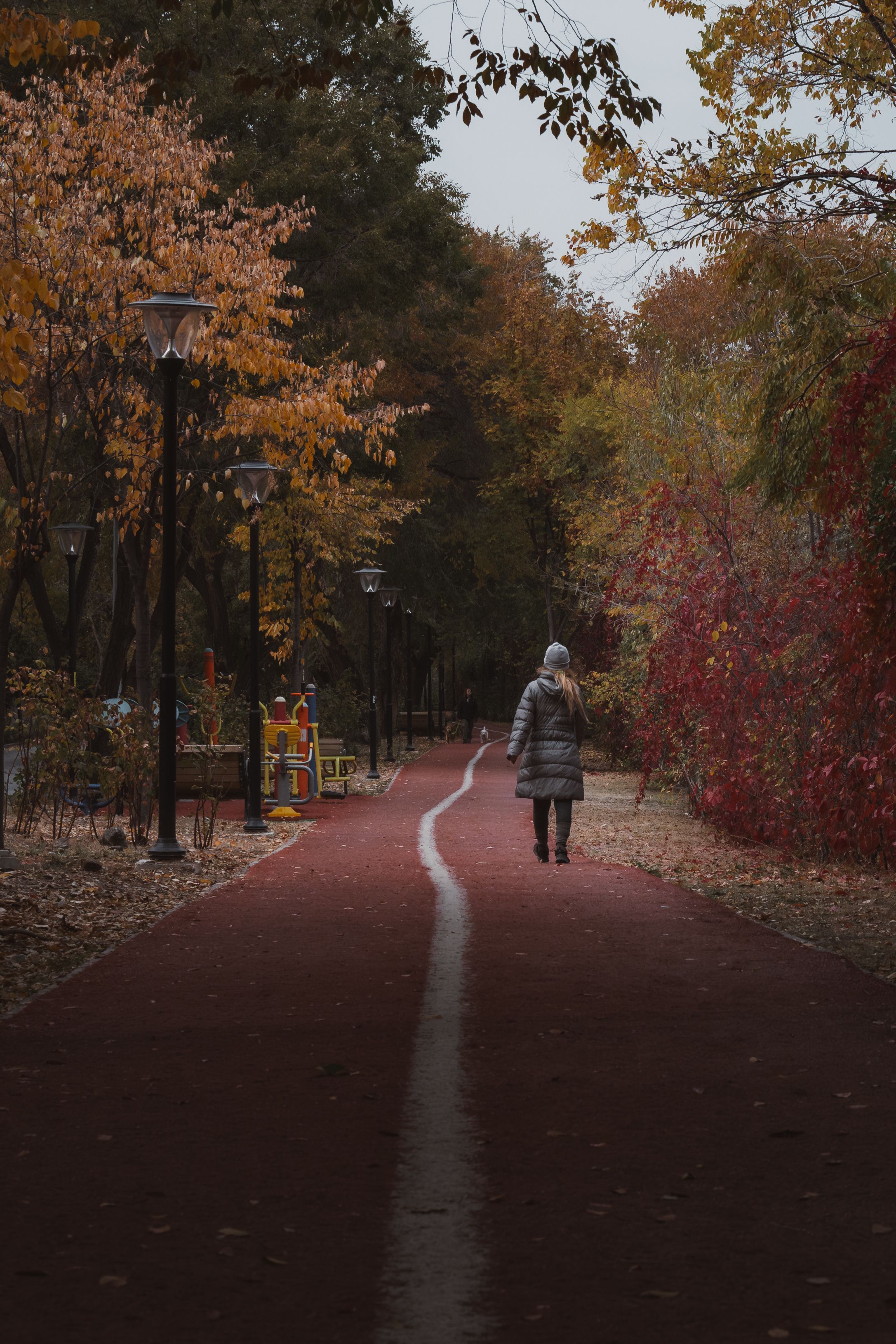 Paseo Otoñal Por El Parque De Bolu · Foto de stock gratuita