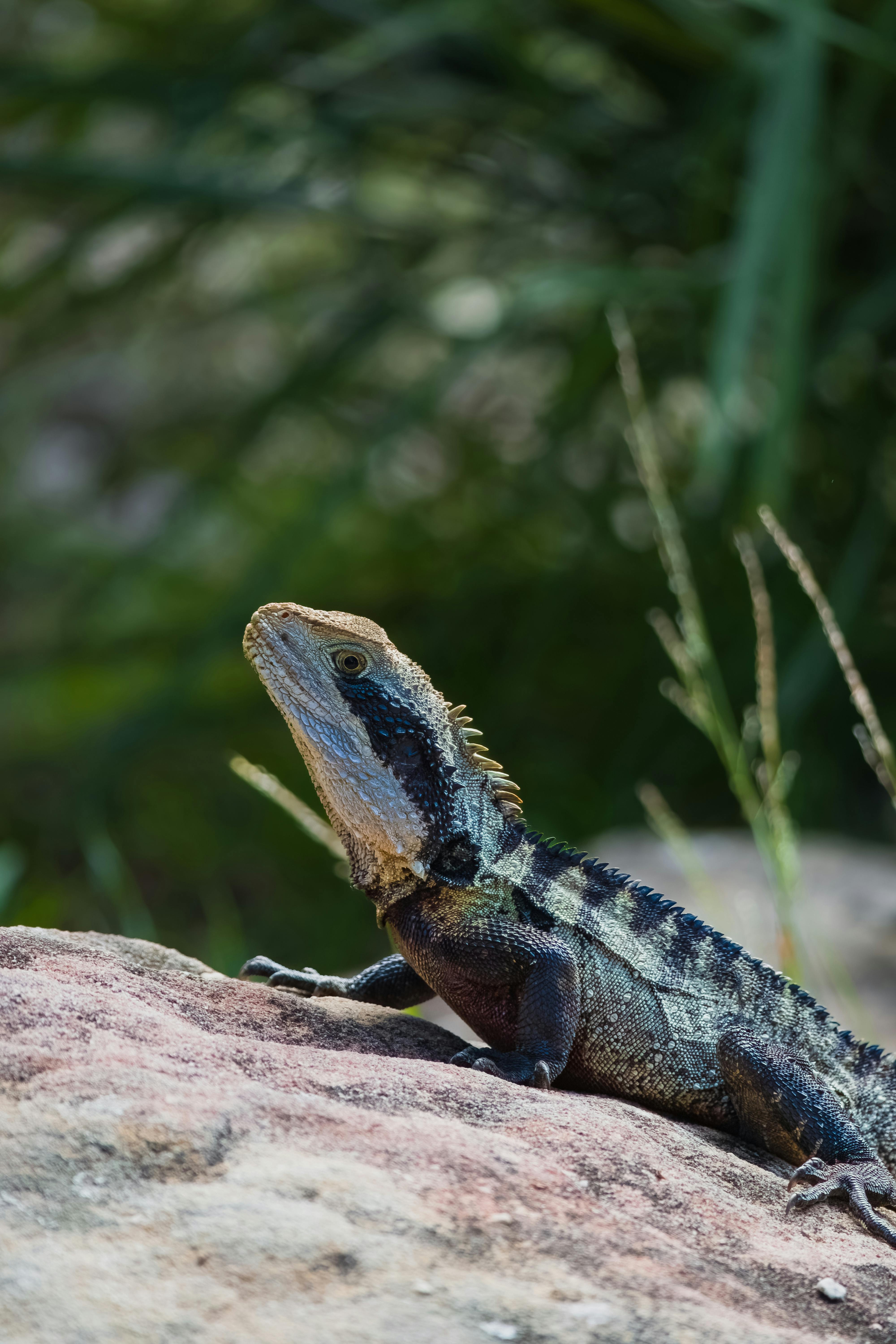 Non Edit Pic Photos, Download The BEST Free Non Edit Pic Stock Photos ...