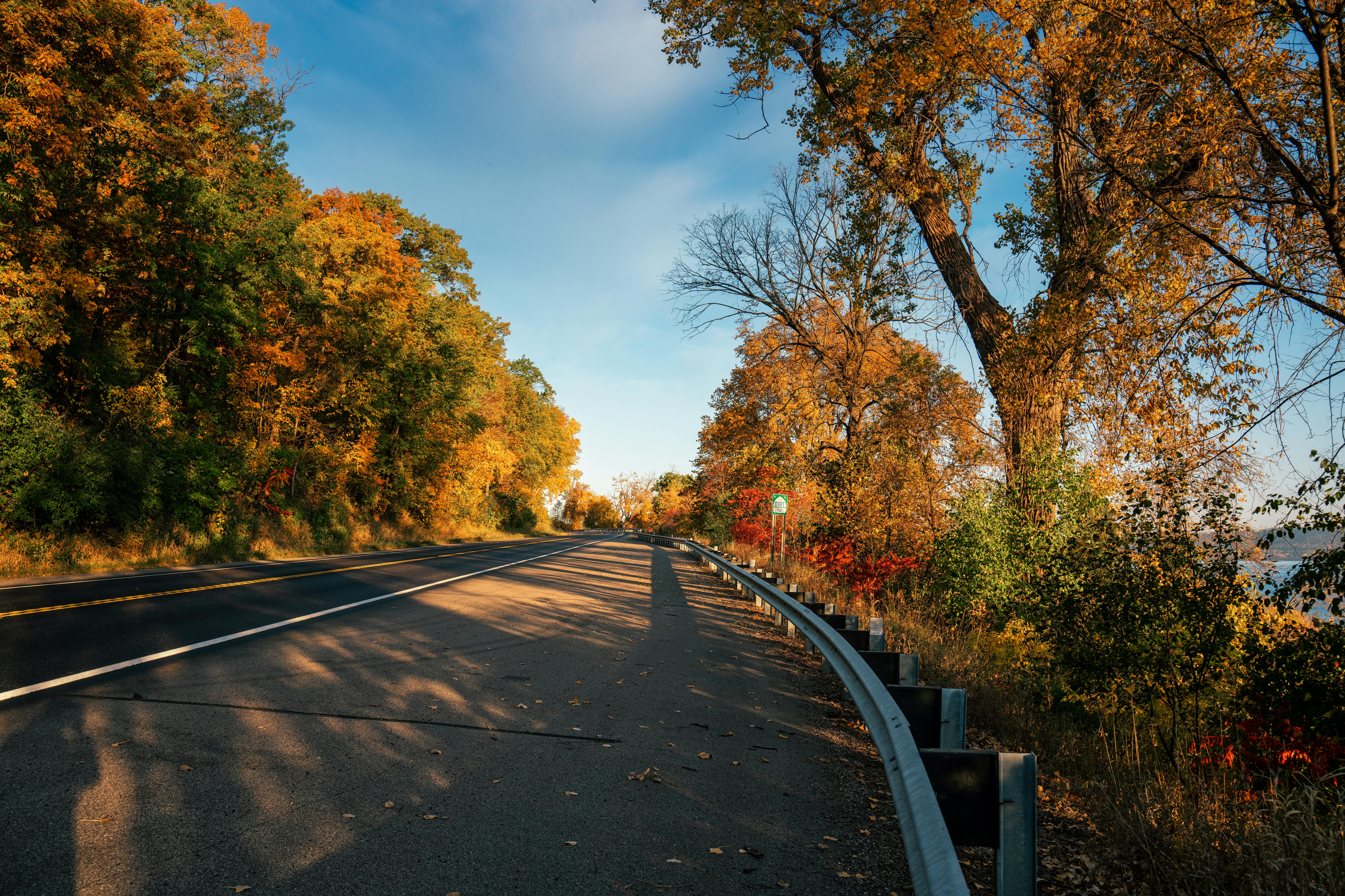 Scenic Autumn Road in Maple Springs, Minnesota · Free Stock Photo