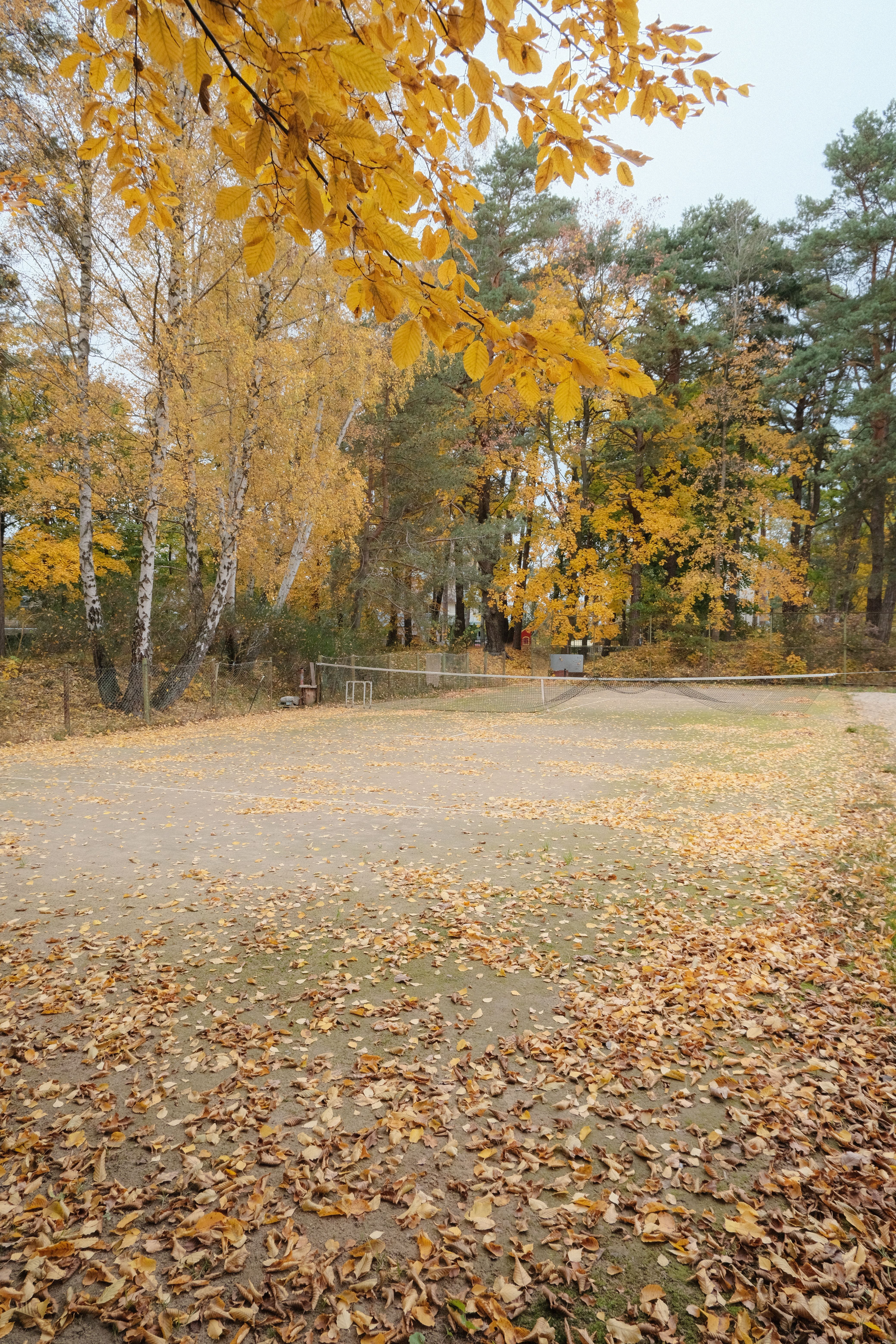 Kaliningrad Park Photos, Download The BEST Free Kaliningrad Park Stock ...