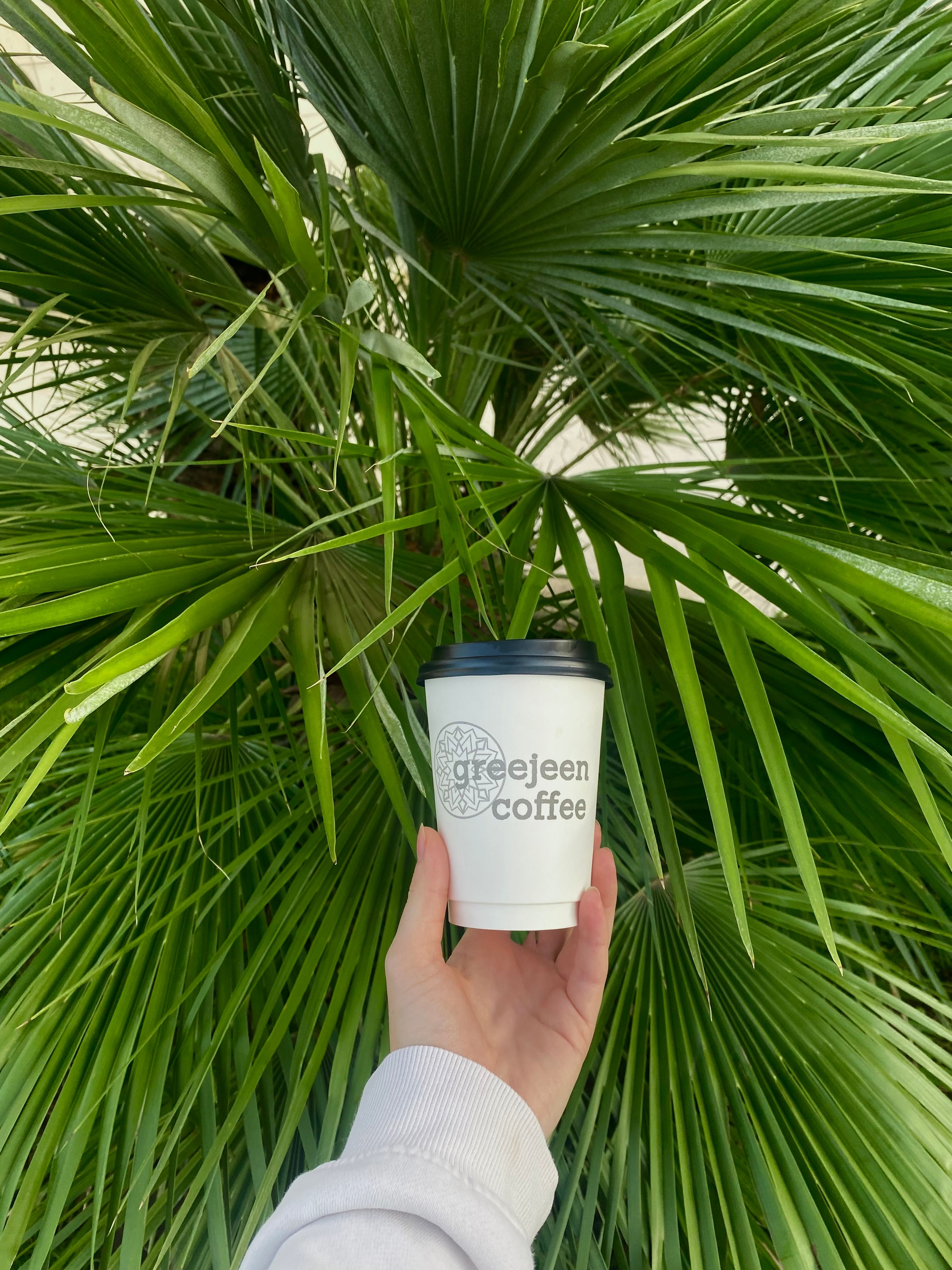 Cup of Coffee in Front of Lush Palm Tree · Free Stock Photo