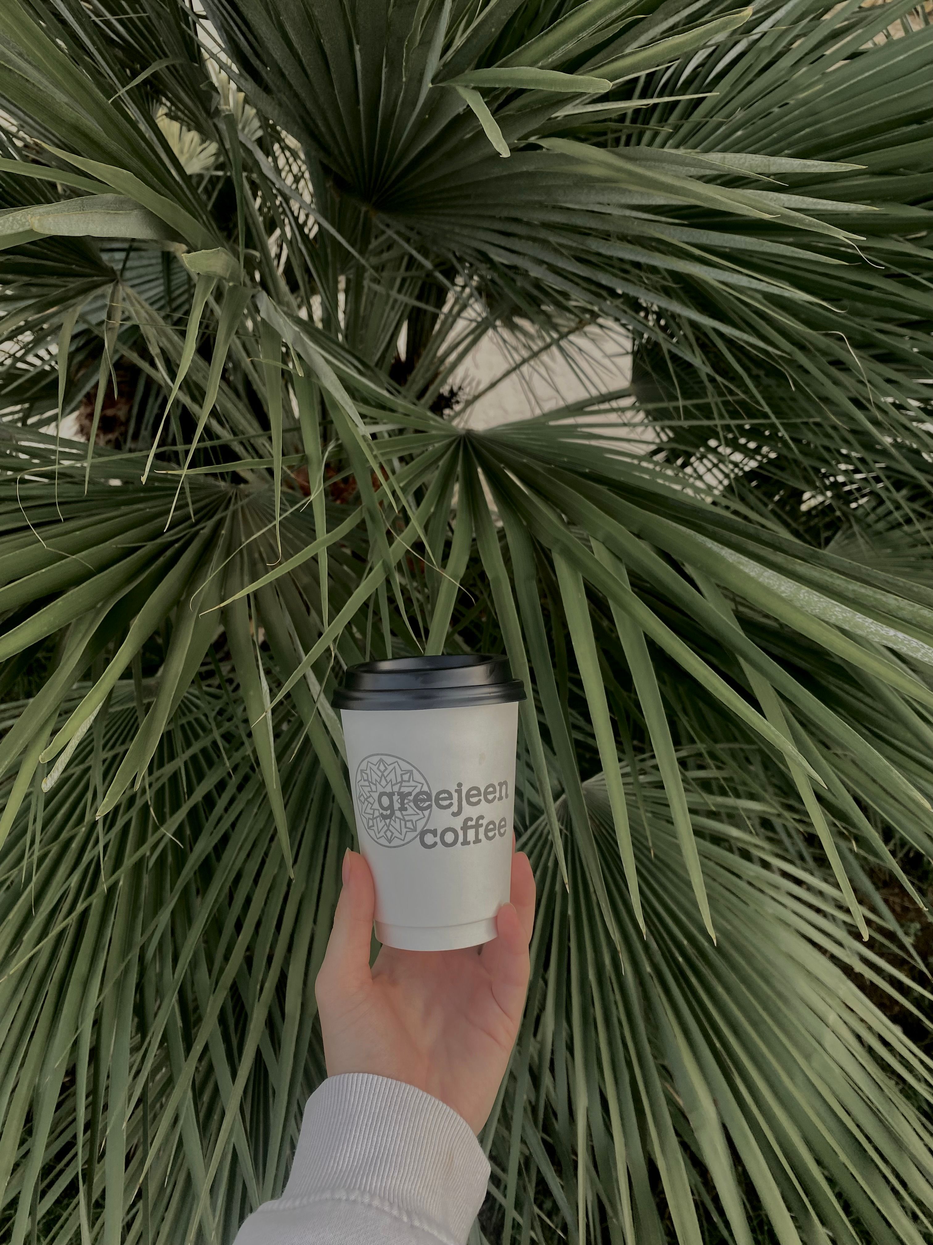 Hand Holding Coffee Cup with Palm Leaves · Free Stock Photo