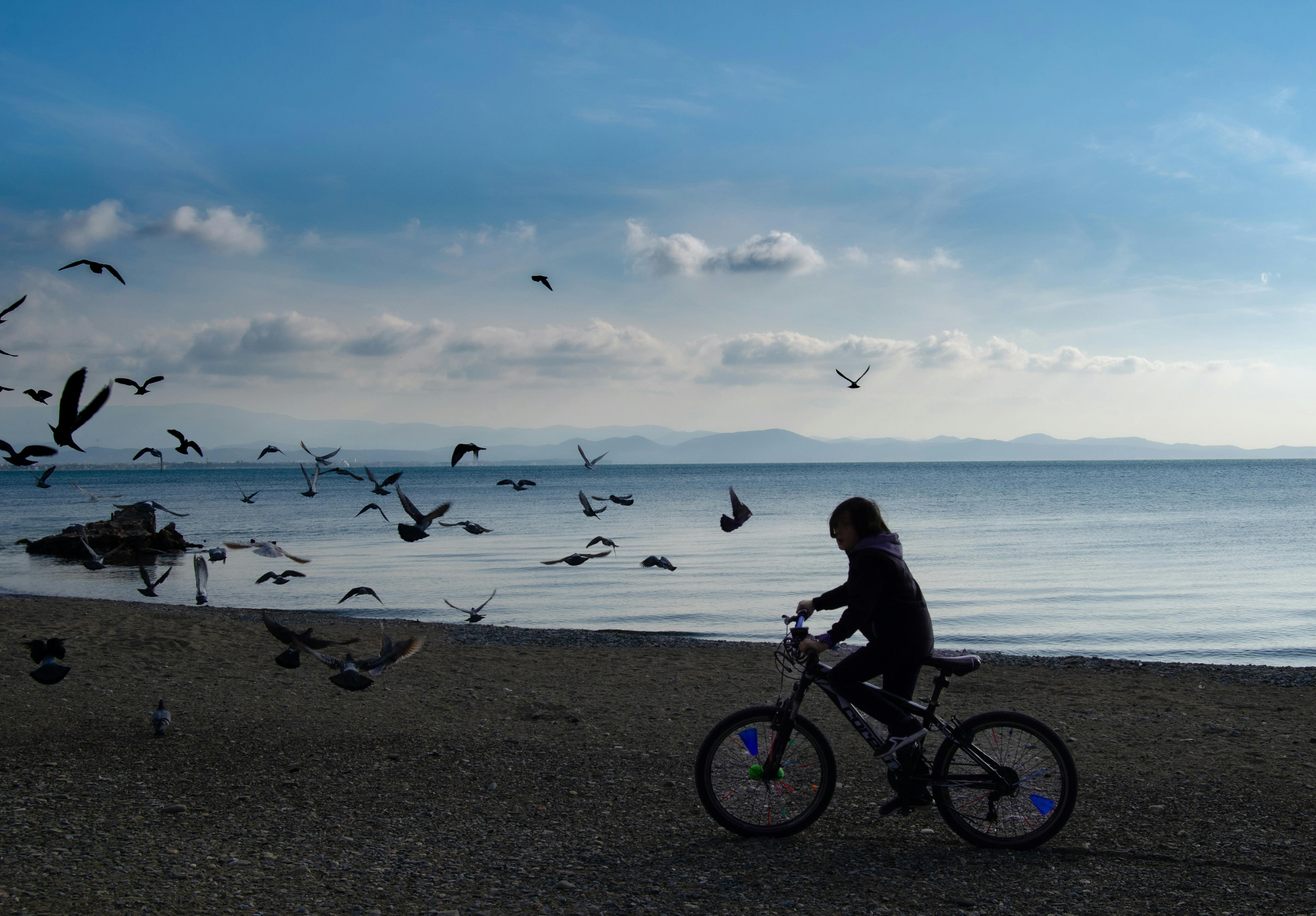 Child Cycling by Seaside with Flock of Birds · Free Stock Photo