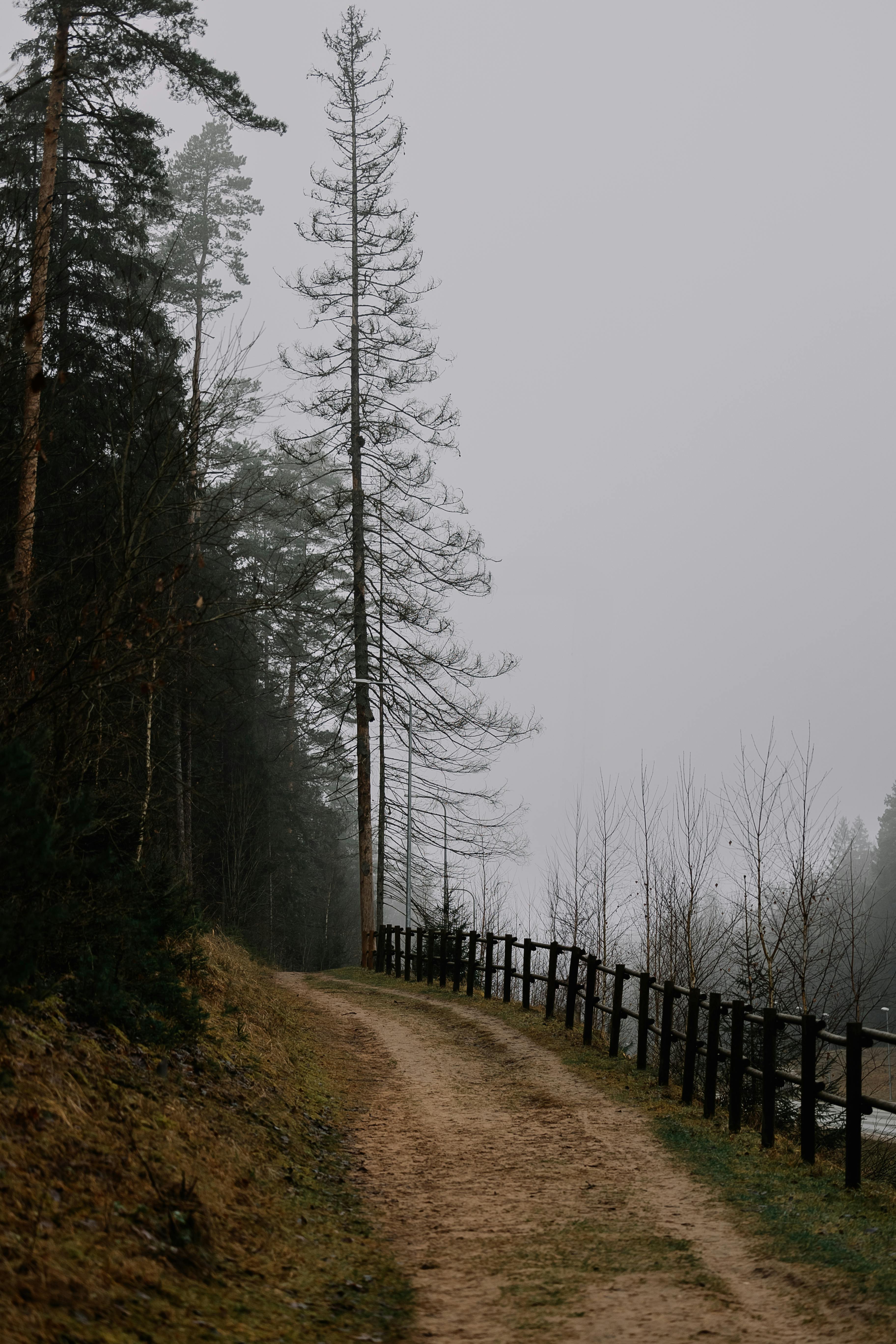 Photo of a Pathway · Free Stock Photo