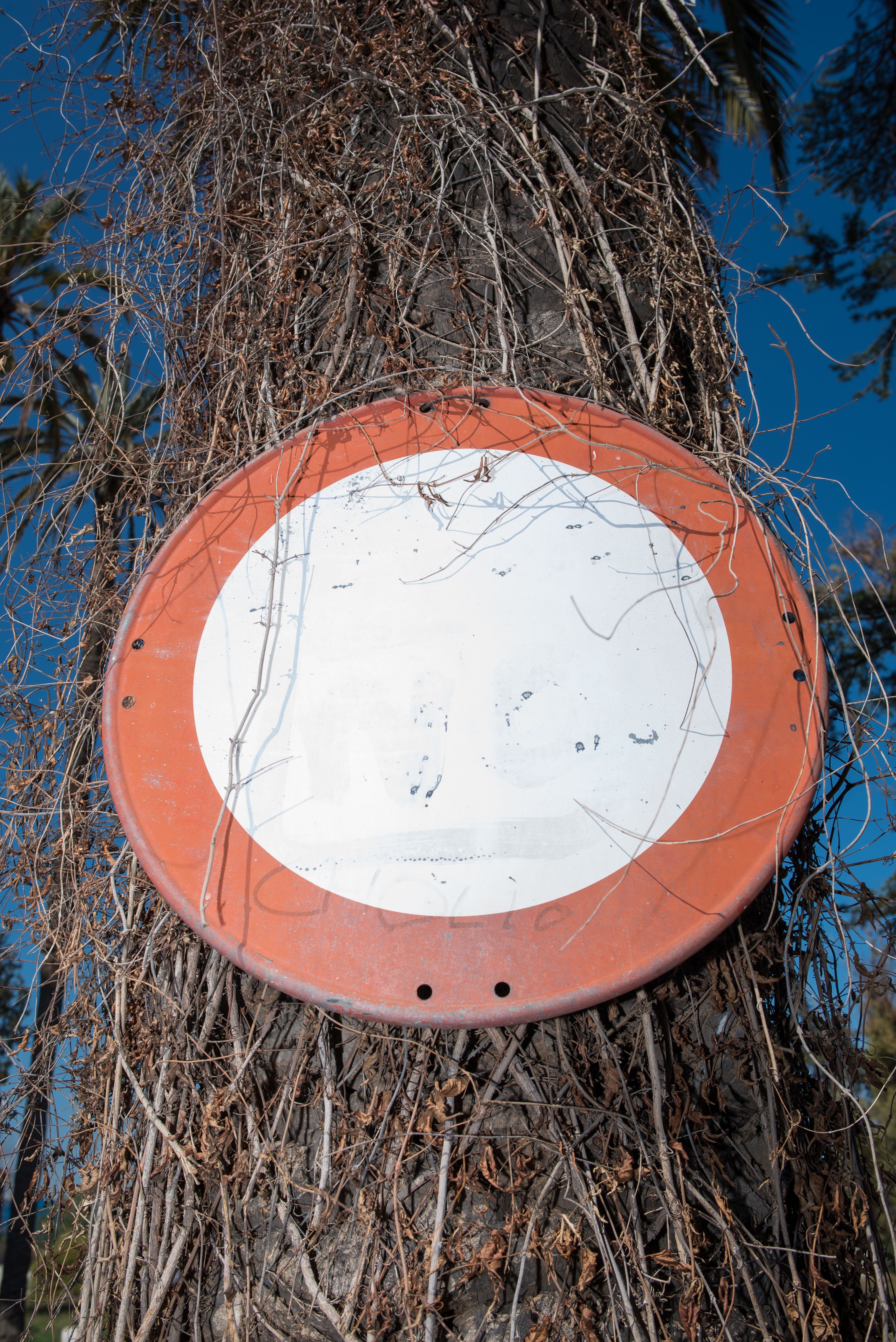 Eco Friendly Indication Photos, Download The BEST Free Eco Friendly ...