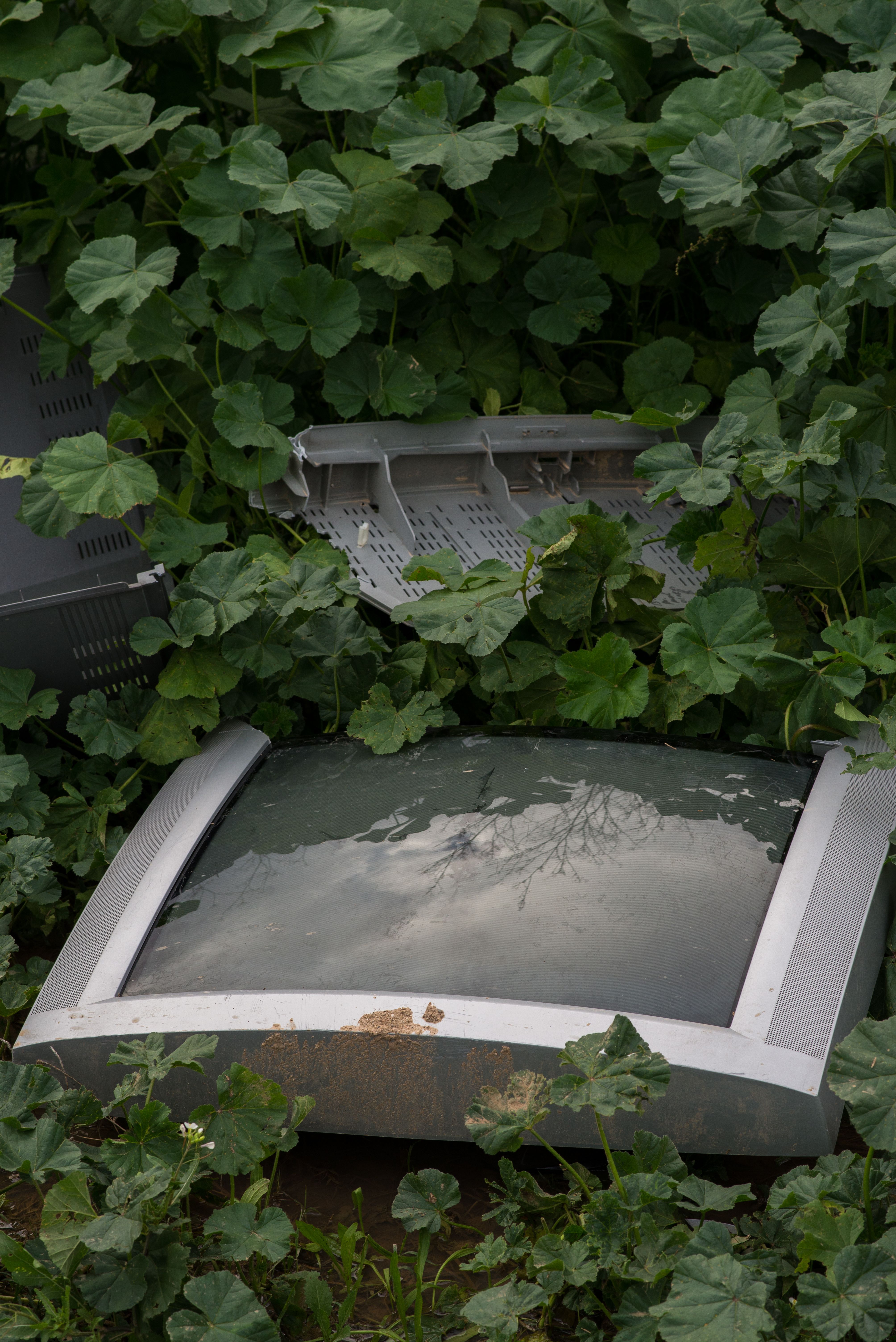 Nature Vs Technology Photos, Download The BEST Free Nature Vs ...