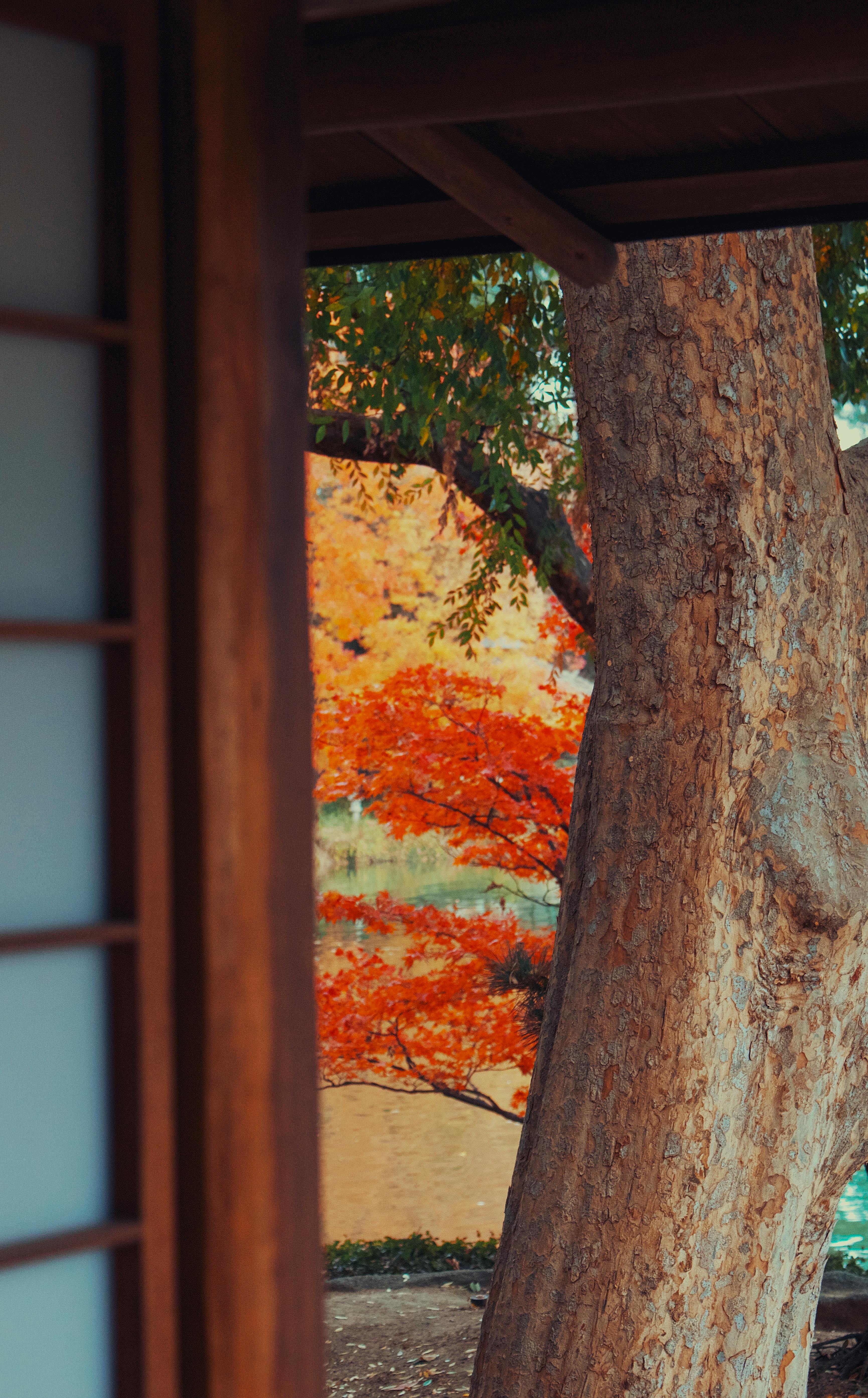 Window Frame View Photos, Download The BEST Free Window Frame View ...