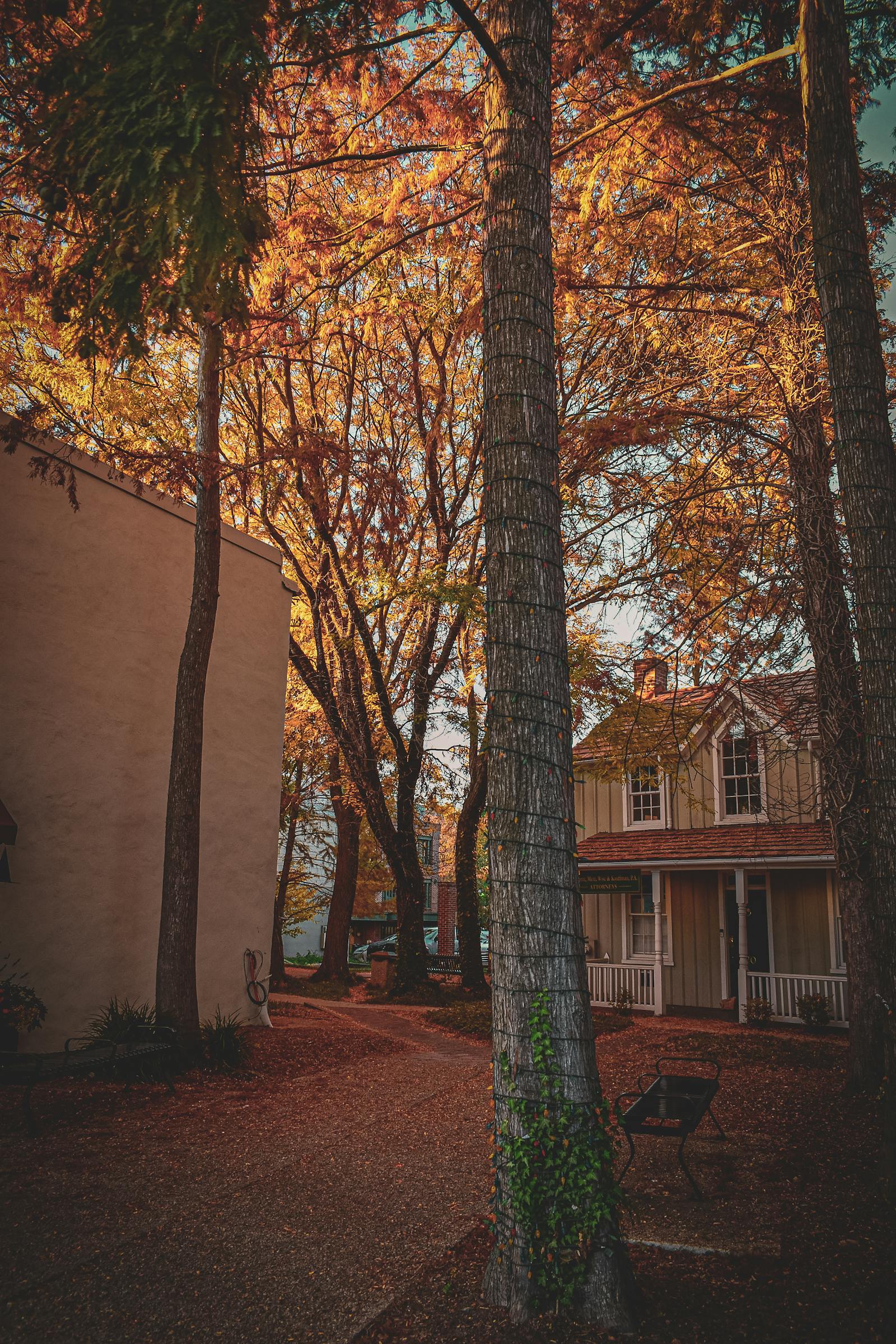 Welcome October Photos, Download The BEST Free Welcome October Stock ...