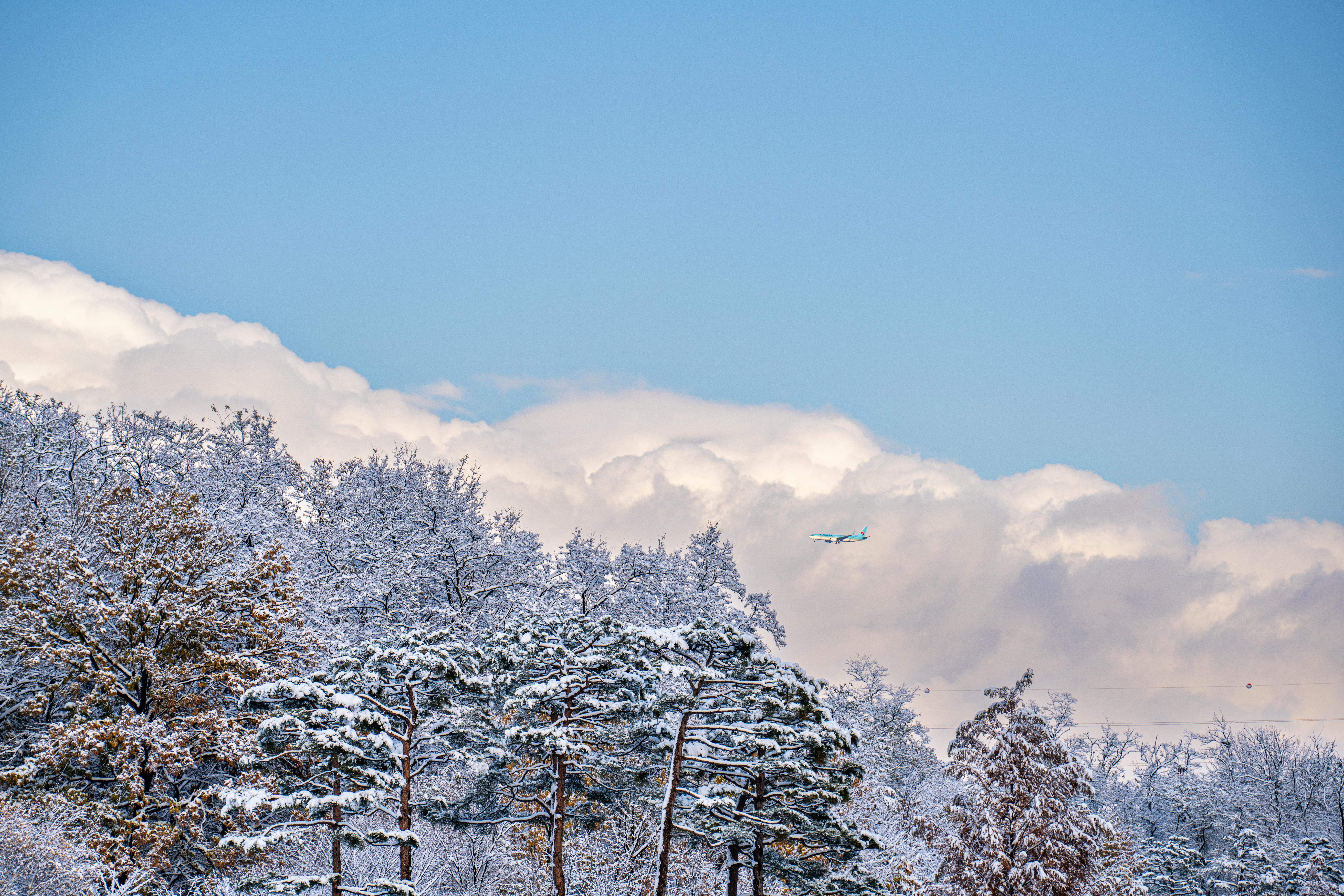 Cele mai bune fotografii cu tema 윈도우+바탕화면+동굴+속+나무 · Descărcare 100% ...