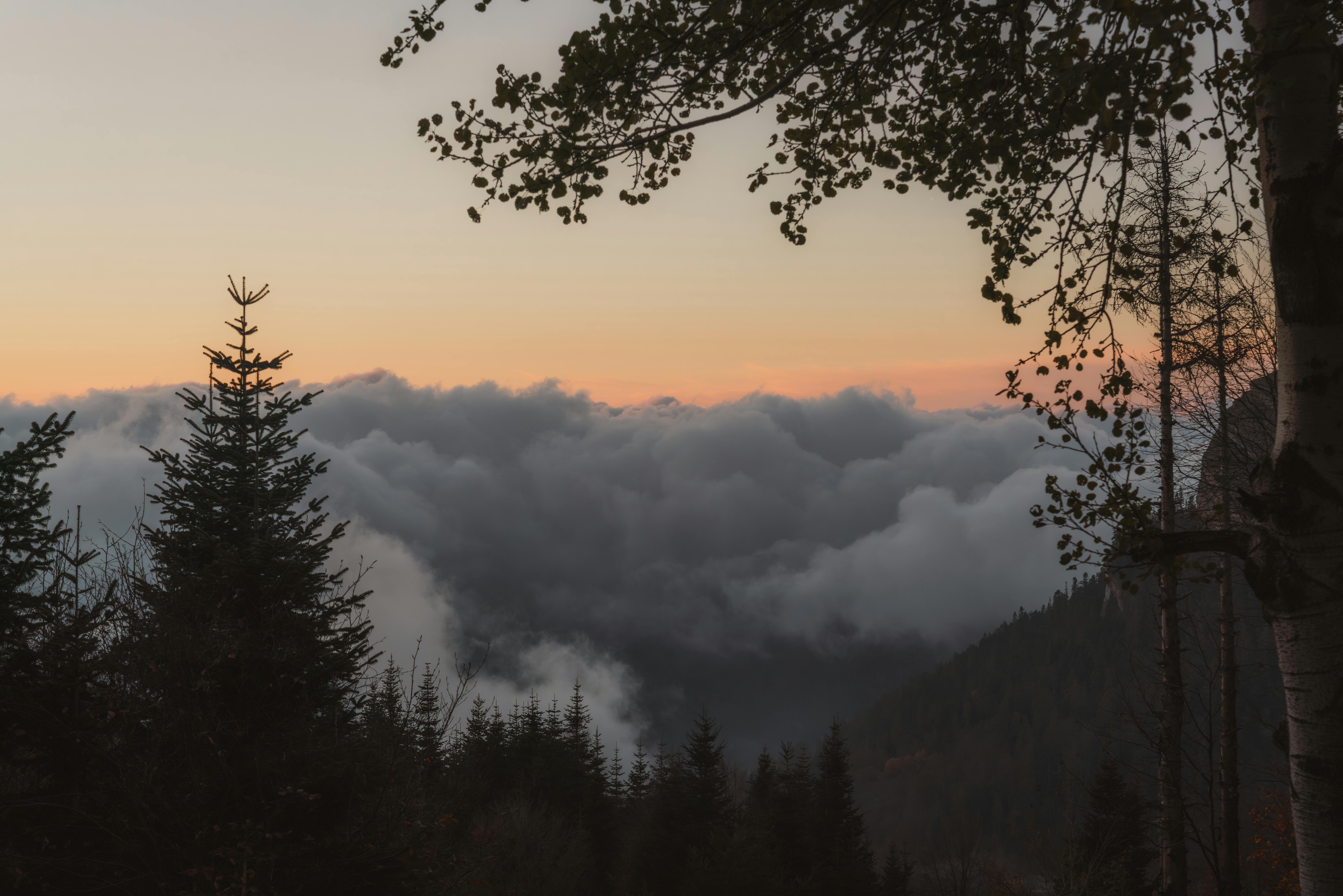 Serene Mountain Sunset with Clouded Forest View · Free Stock Photo