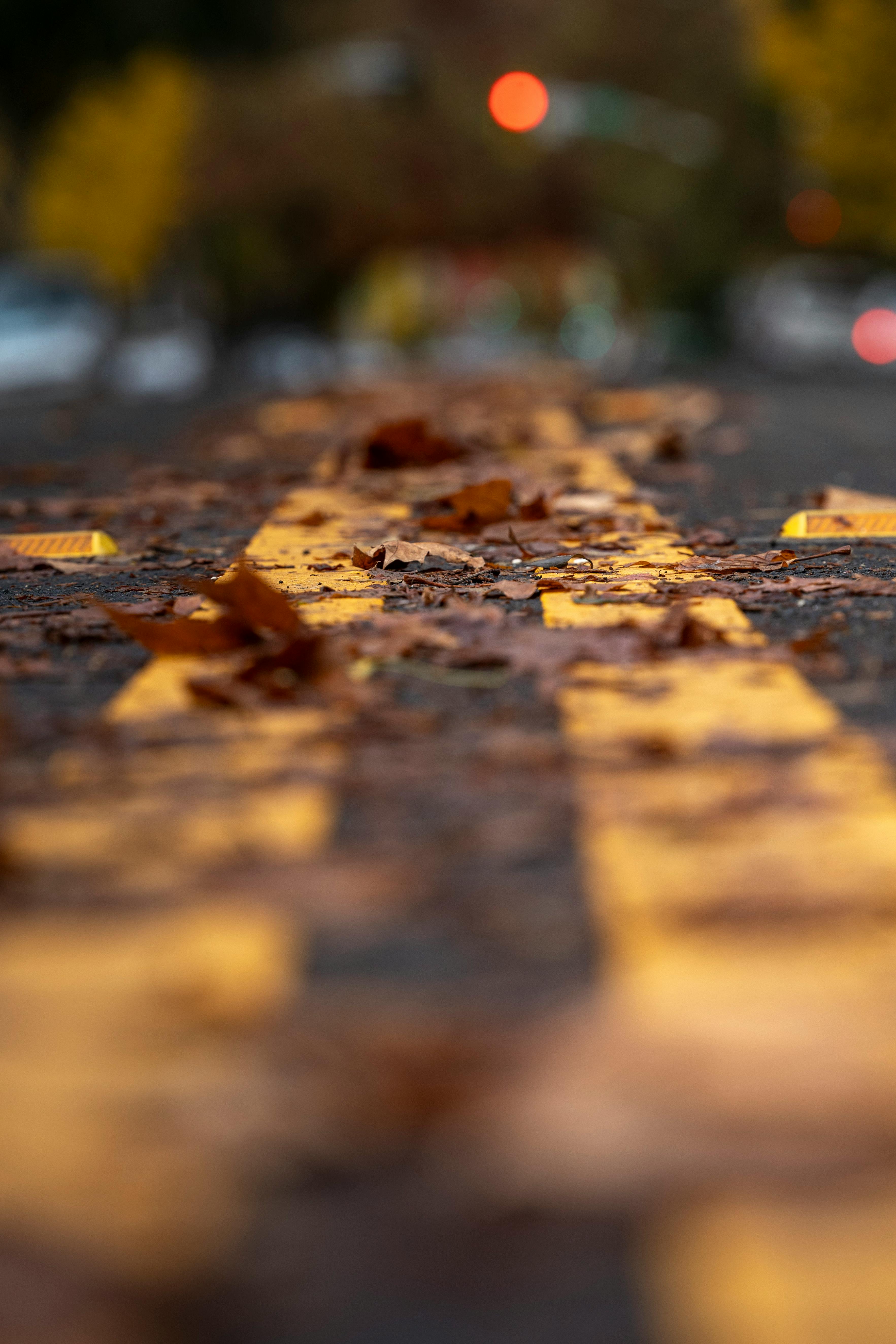 Autumn Leaves on Urban Street with Yellow Markings · Free Stock Photo