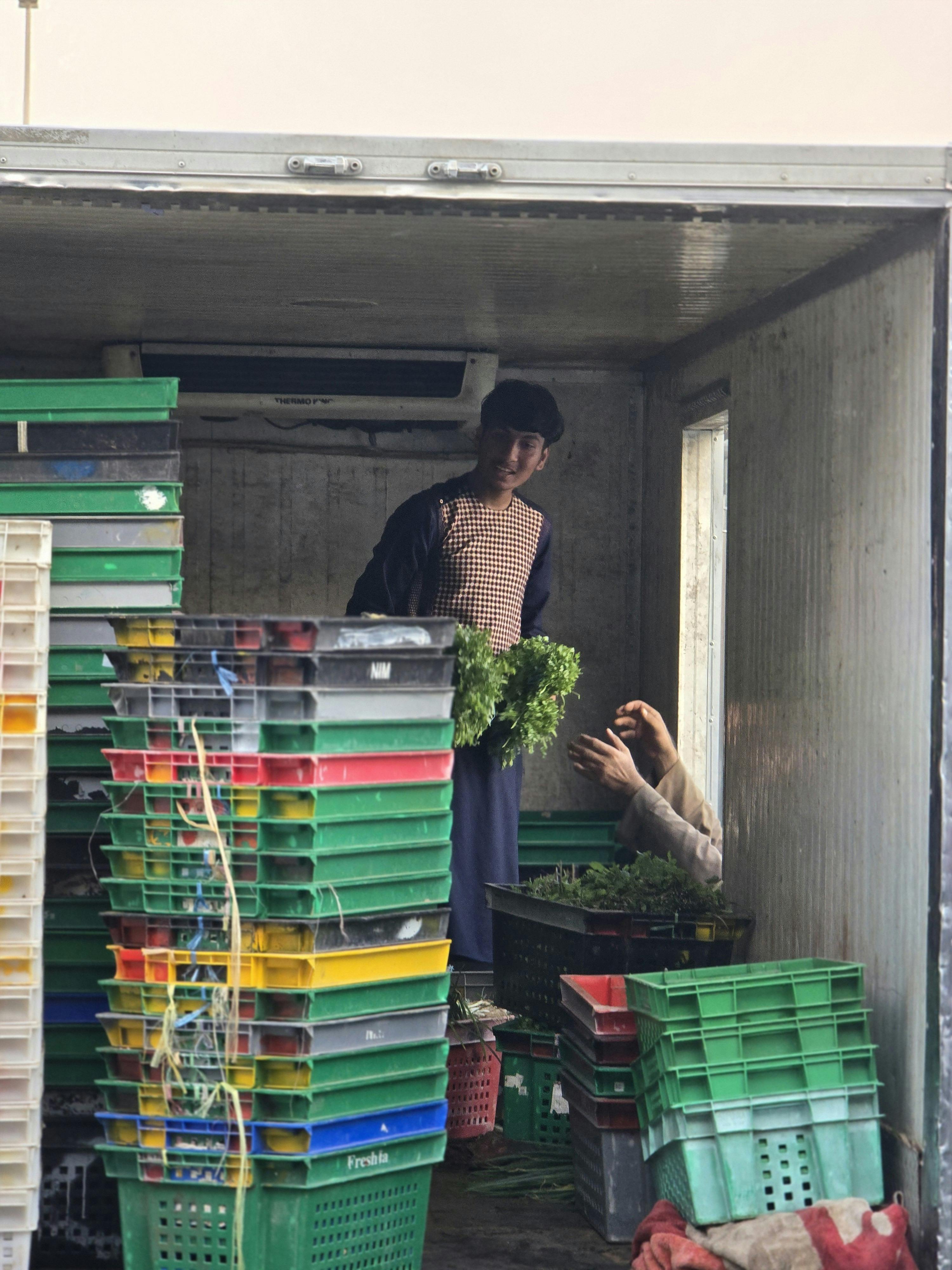 Urban Agriculture: Fresh Produce Loading in Dubai · Free Stock Photo