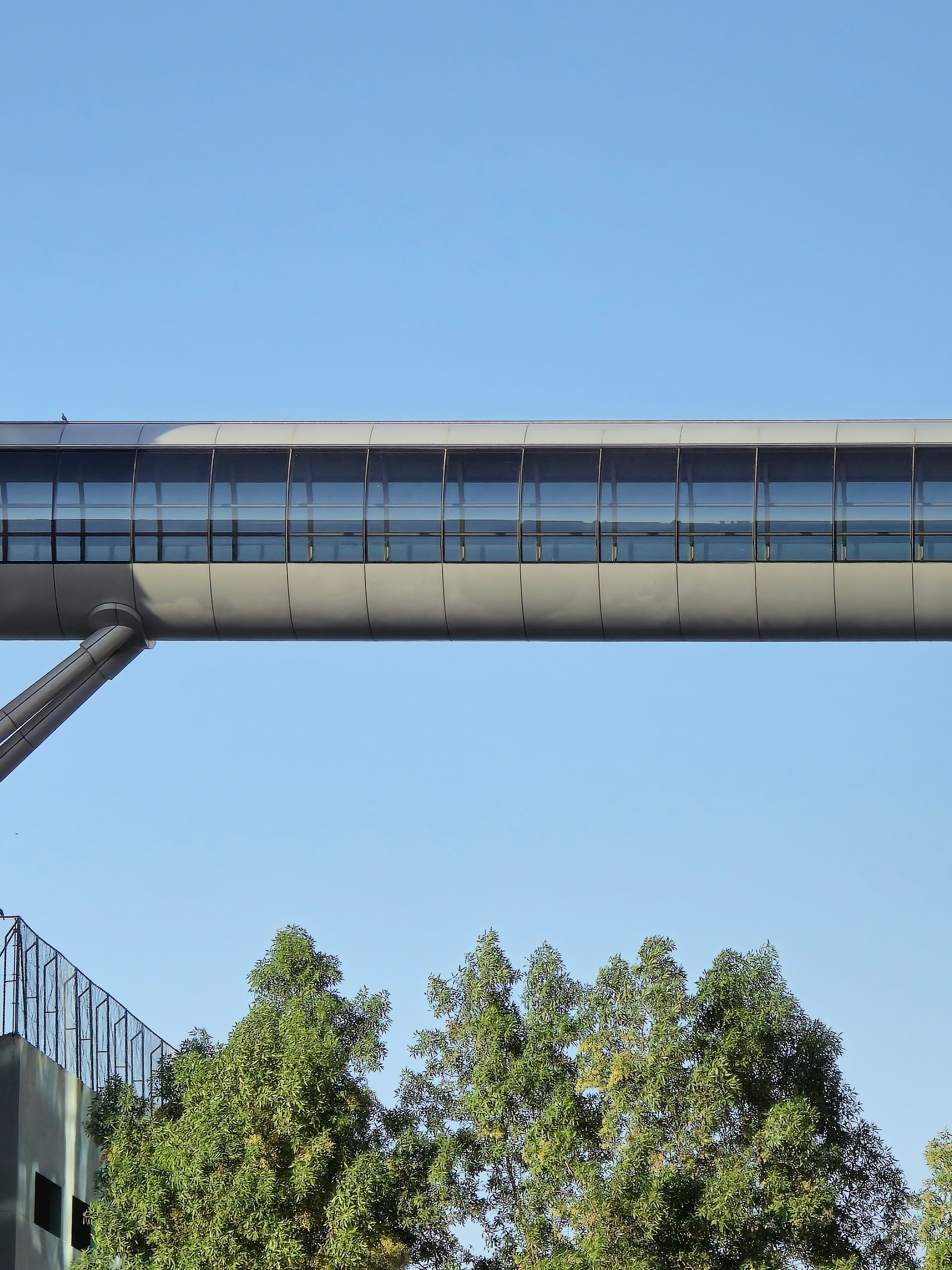Skywalk Photos, Download The BEST Free Skywalk Stock Photos & HD Images