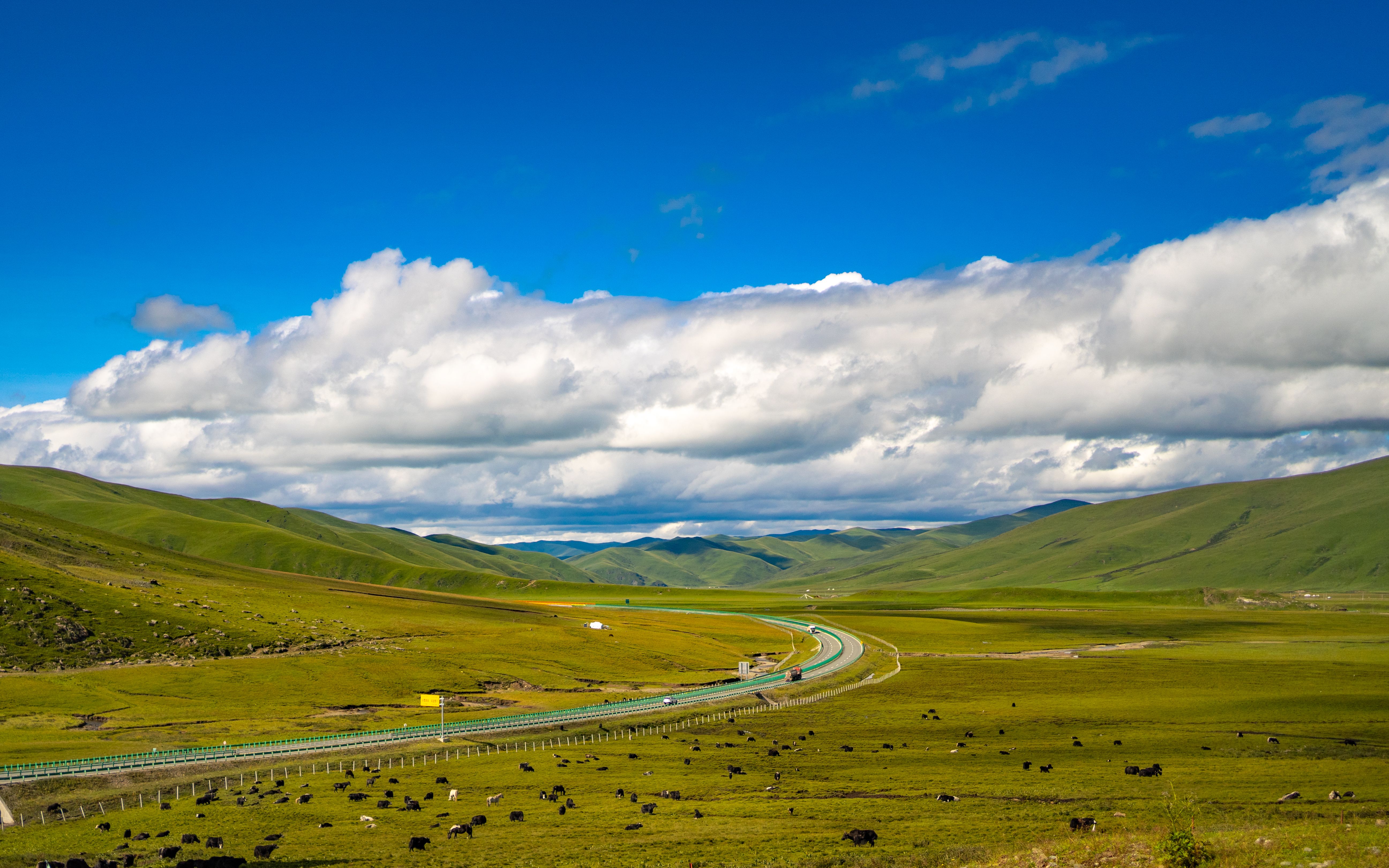 Scenic View of Green Pasture and Open Road · Free Stock Photo