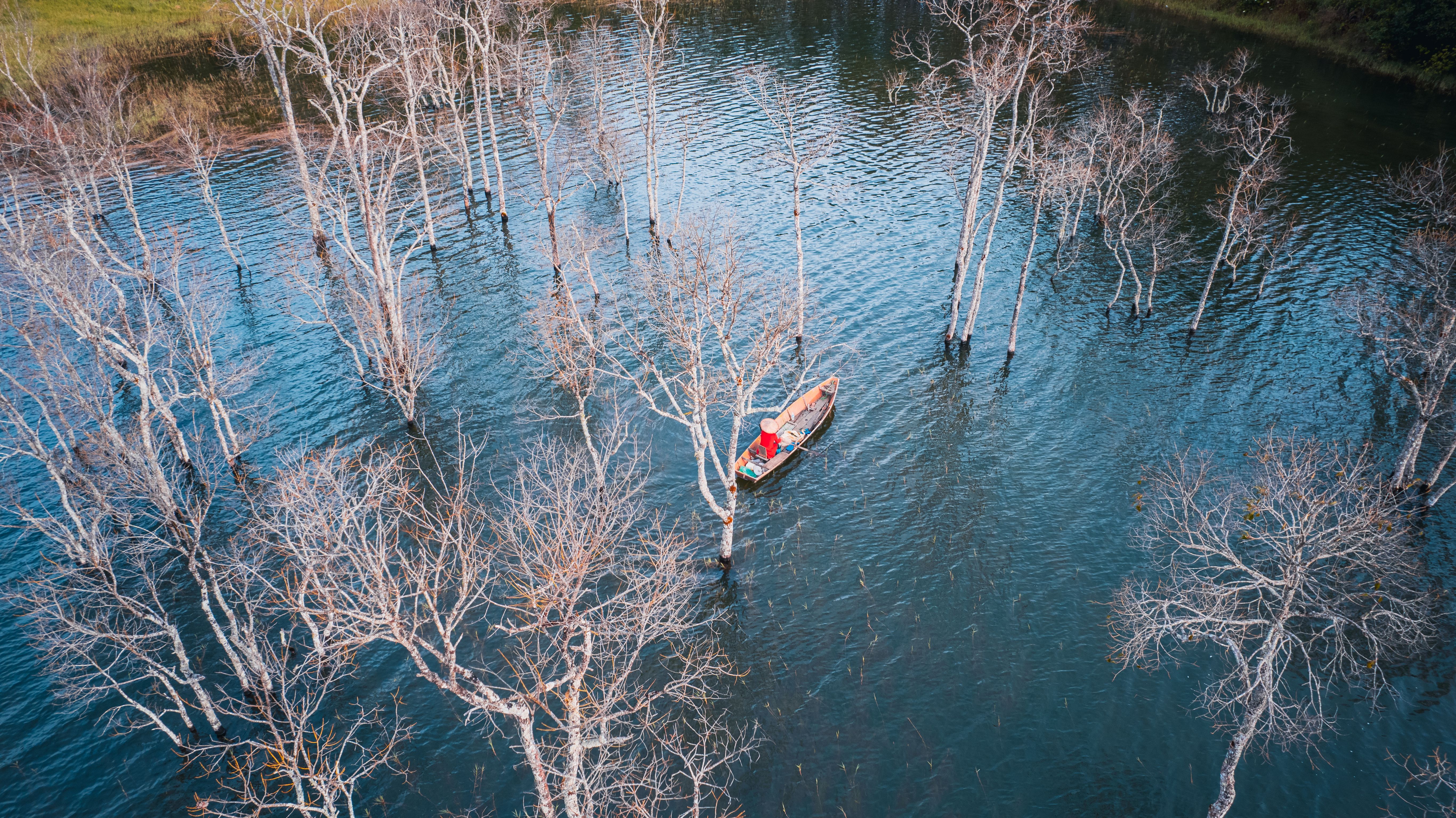 Vista Aérea De Una Canoa Navegando Entre árboles Inundados · Foto de ...