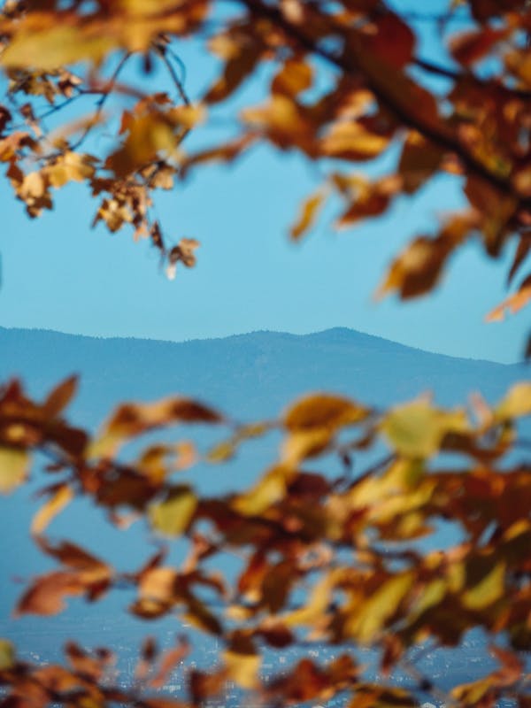 Fall Autumn Photos, Download The BEST Free Fall Autumn Stock Photos ...