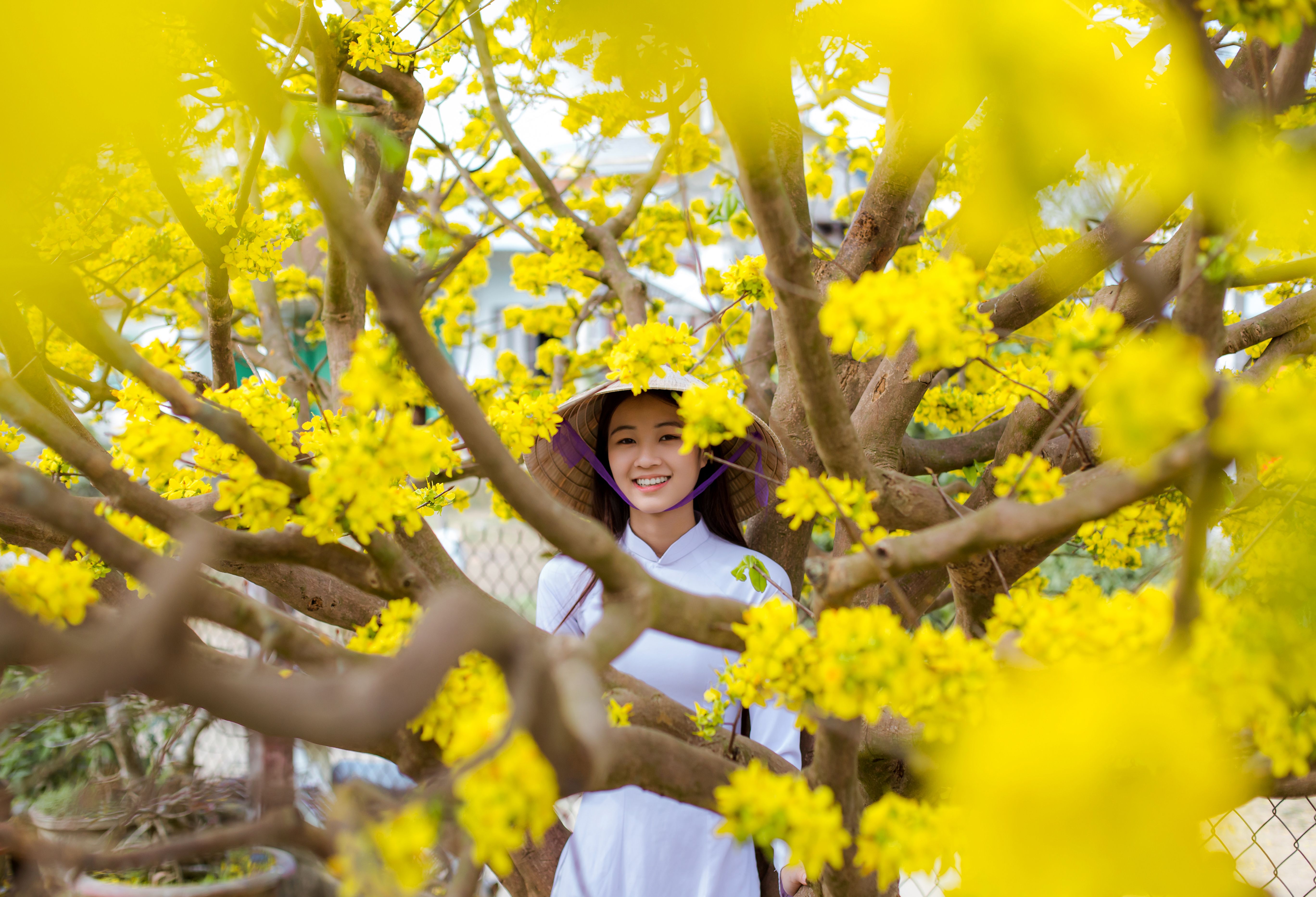 Spring Vietnam Photos, Download The BEST Free Spring Vietnam Stock ...