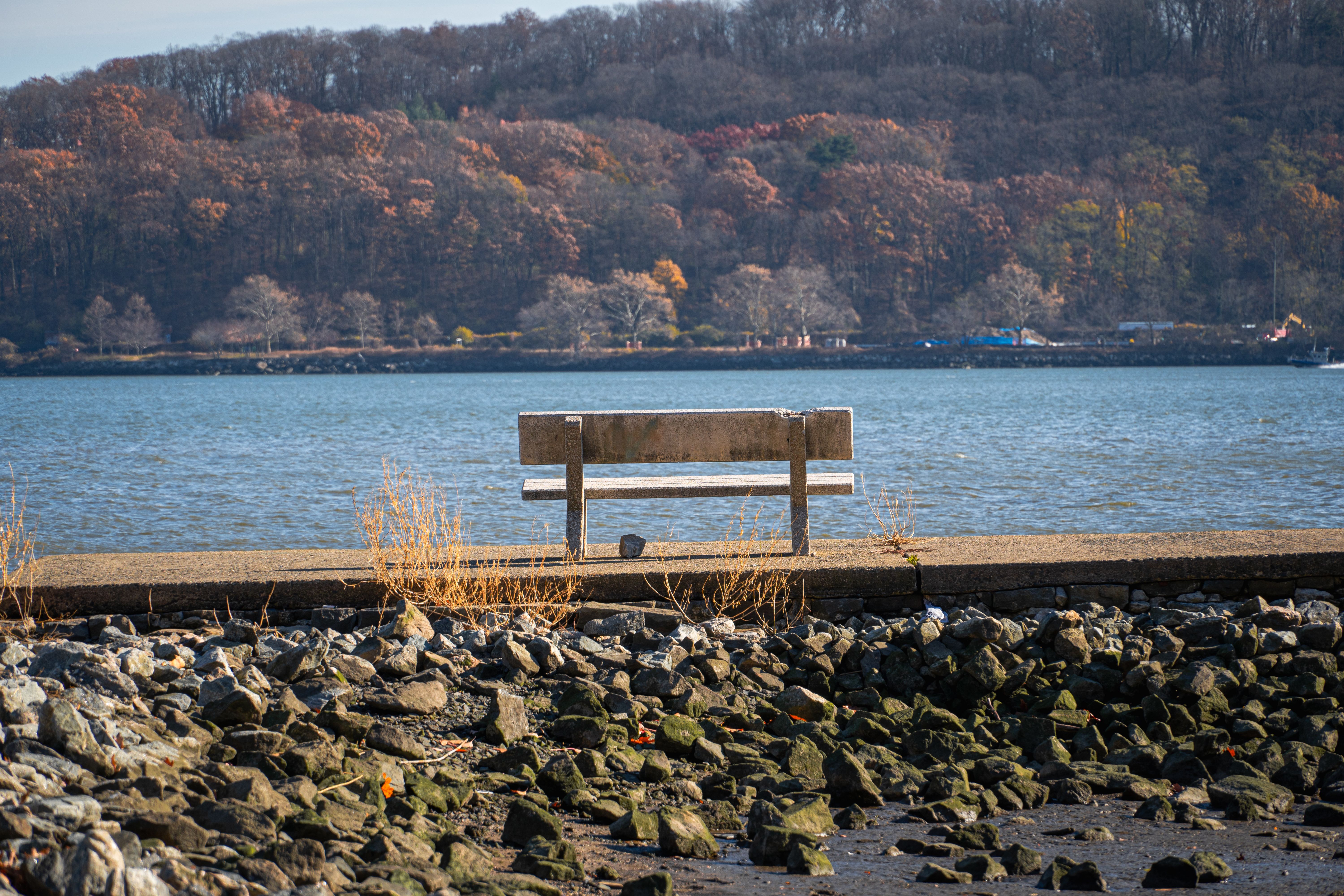 Scenic Autumn Park Bench by a Tranquil Lake · Free Stock Photo