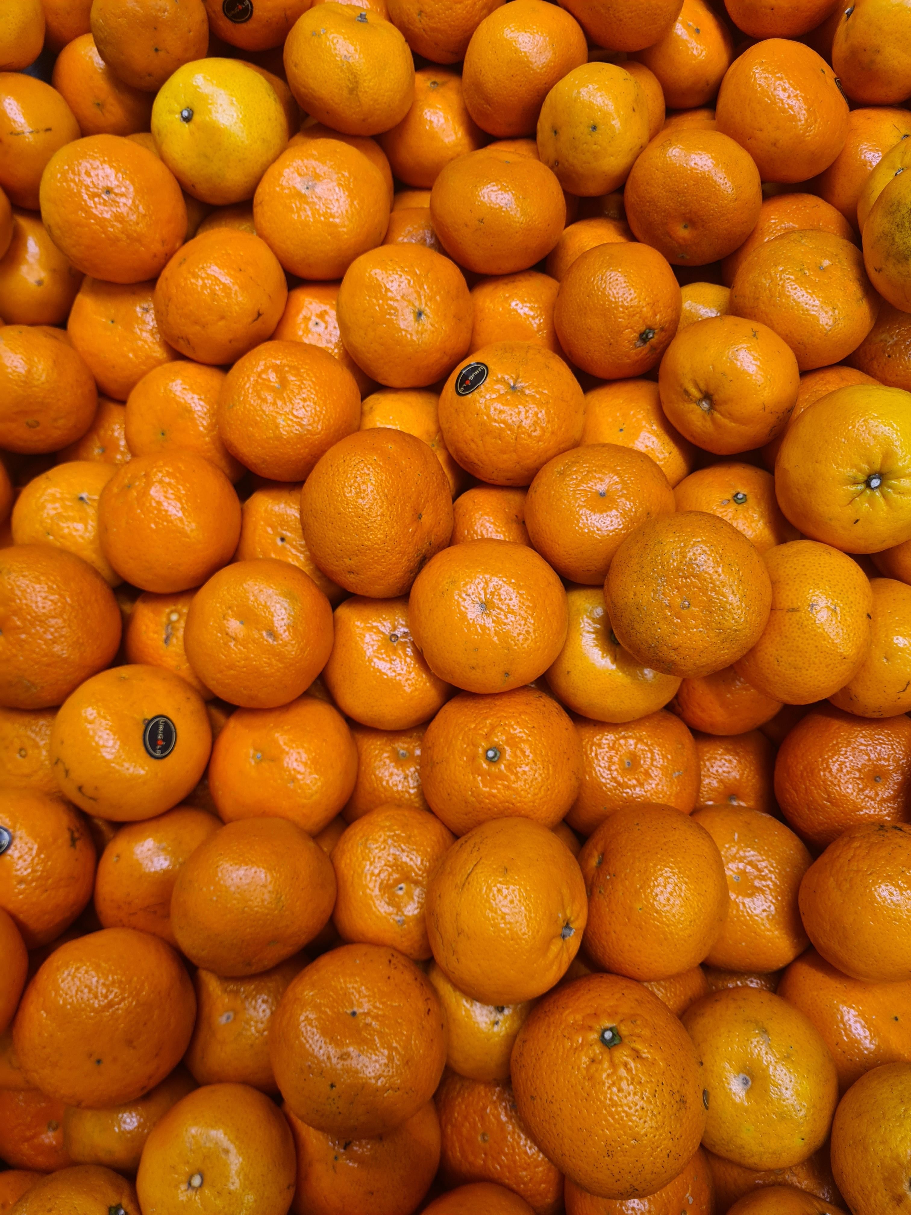 Abundant Pile of Fresh Juicy Oranges on Display · Free Stock Photo