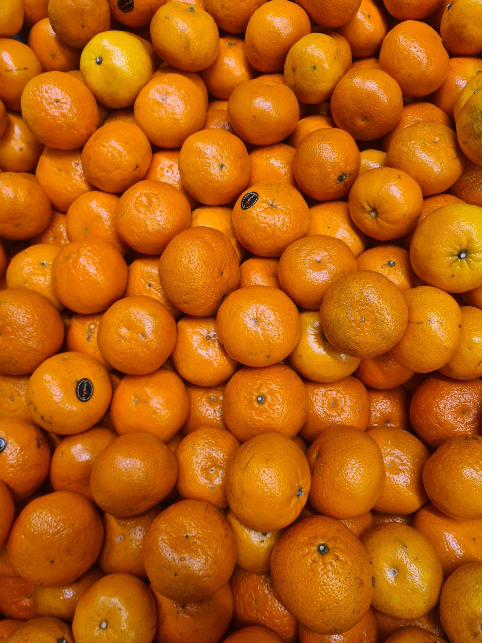 Orange Color Photos, Download The BEST Free Orange Color Stock Photos ...