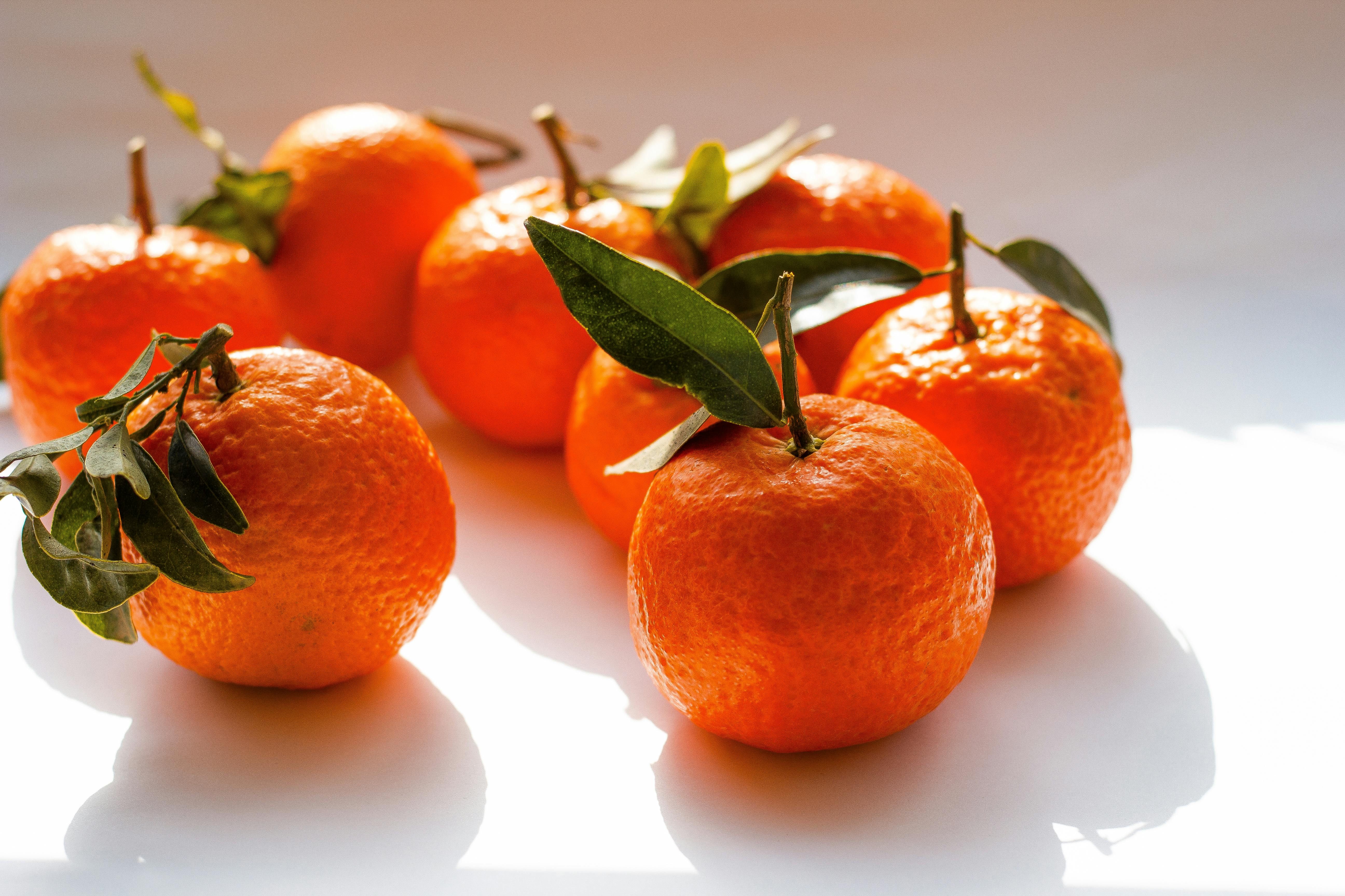 Jeruk Mandarin Segar Dengan Daun Di Bawah Sinar Matahari Cerah · Foto ...