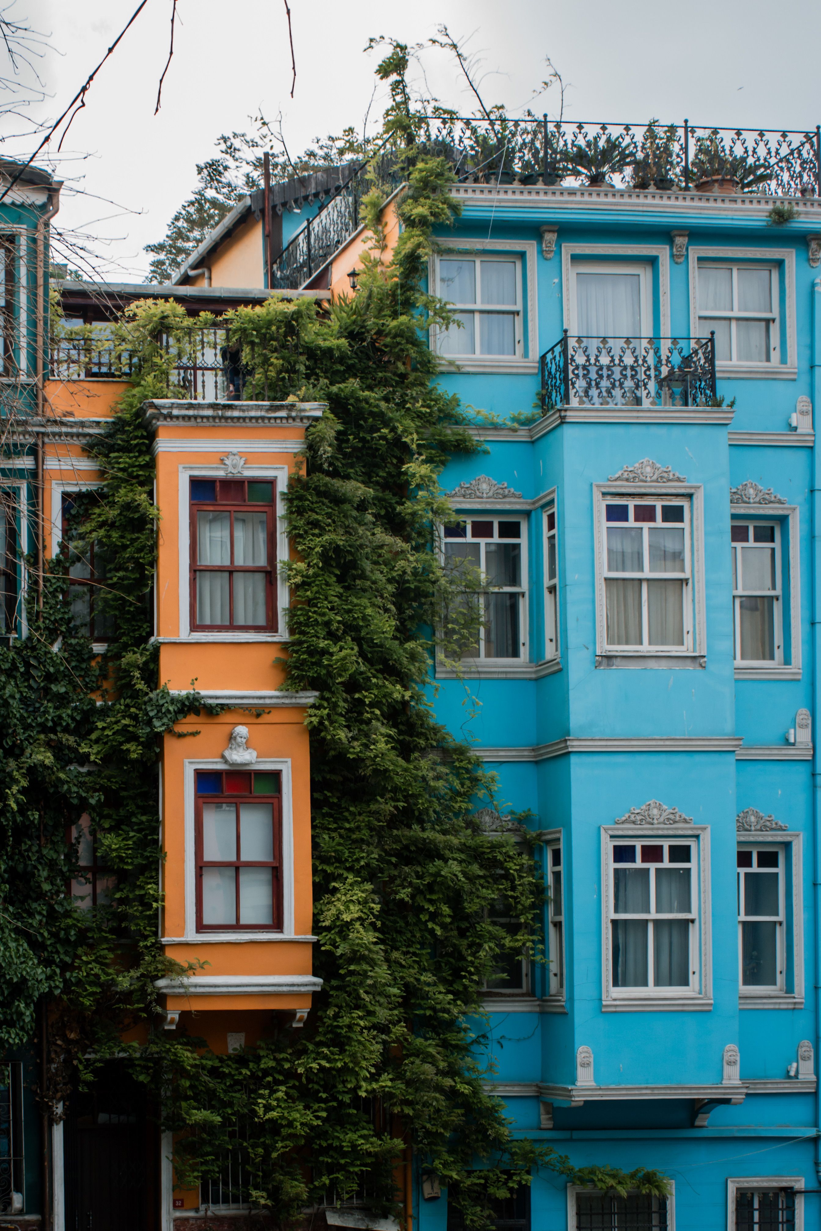 Colorful Residential Buildings with Ivy in Urban Setting · Free Stock Photo