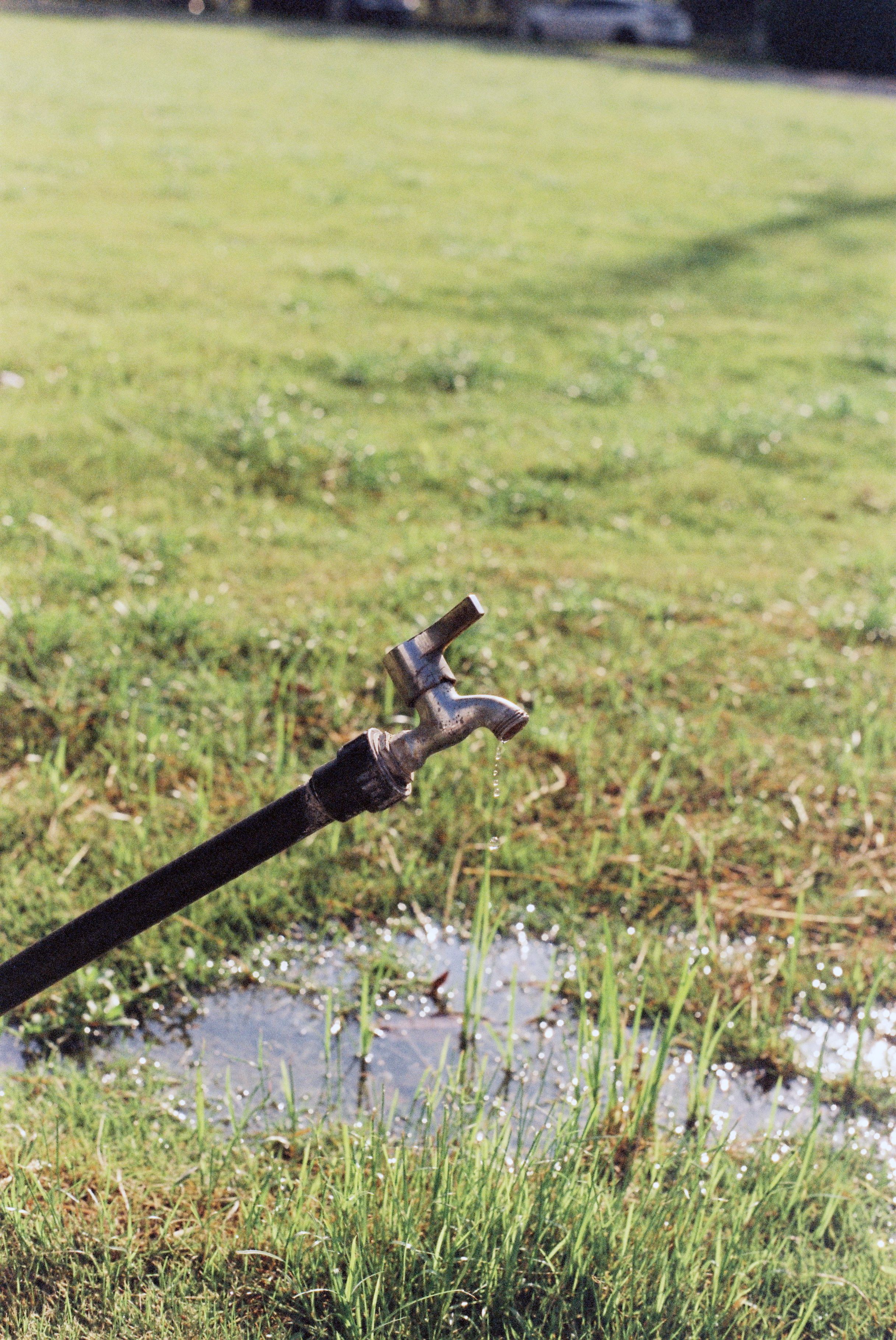 Outdoor Water Faucet on Grassy Field · Free Stock Photo