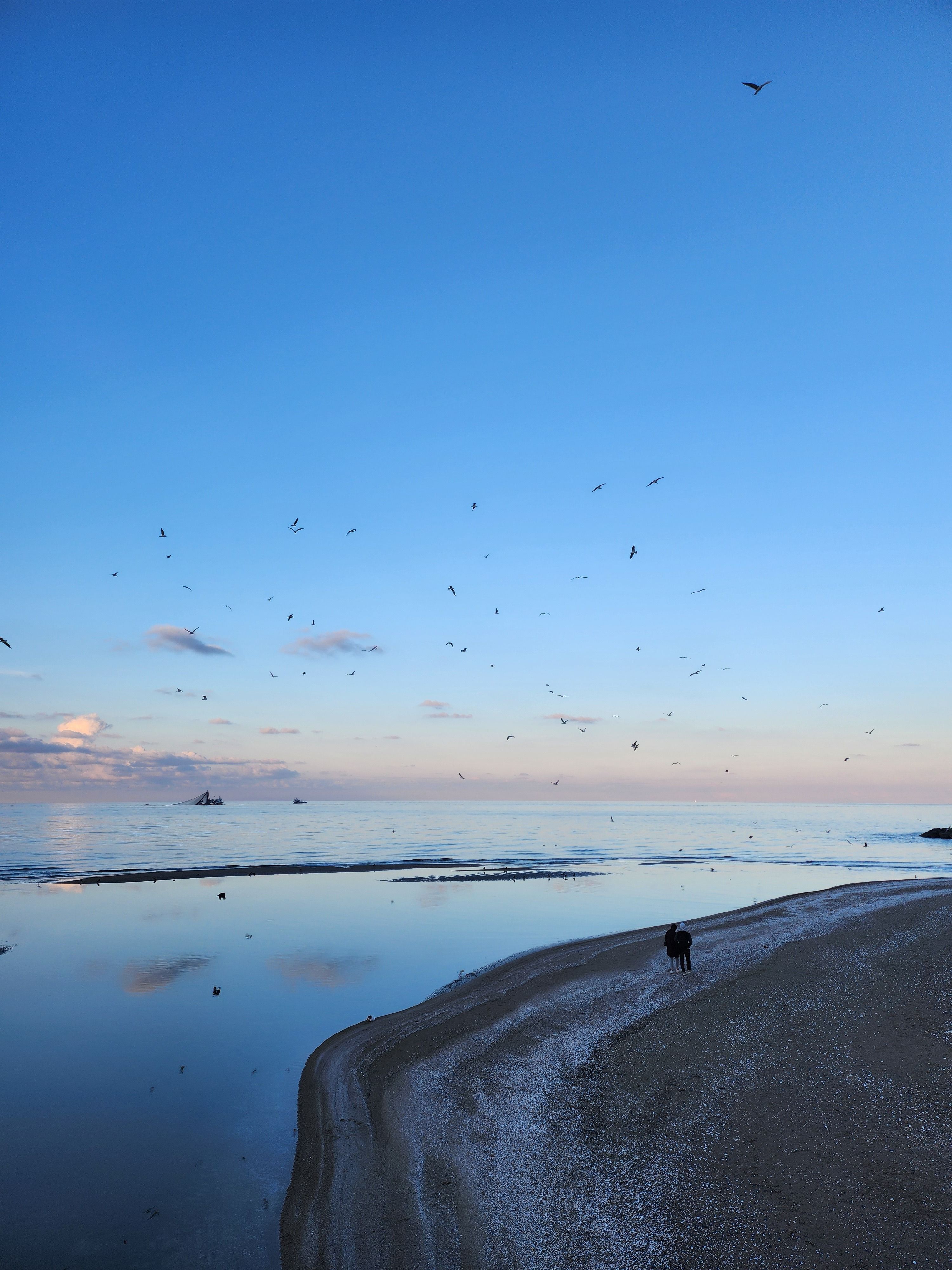 Playa Serena Al Amanecer Con Pájaros Y Reflejos · Foto de stock gratuita